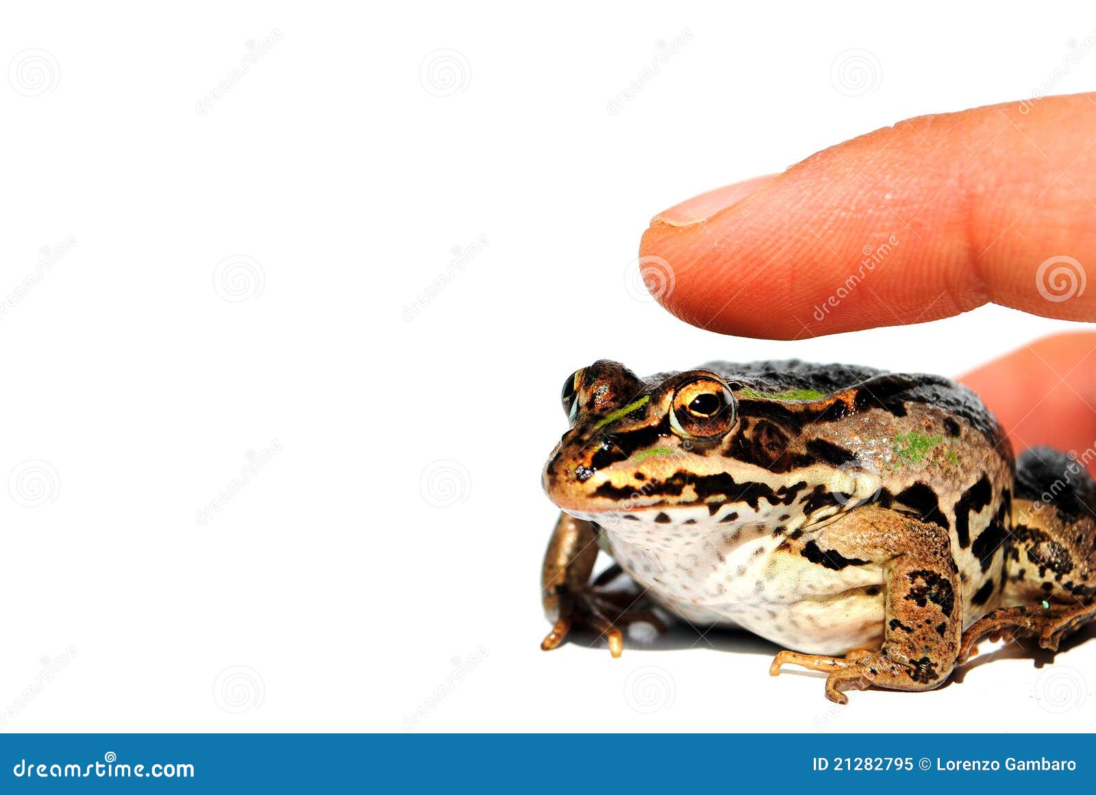 Finger Clicking On A Display With A Lock Icon. HUD Display Showing ...