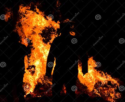 Man in Fire stock image. Image of shiny, dark, heat, incinerate - 2171875