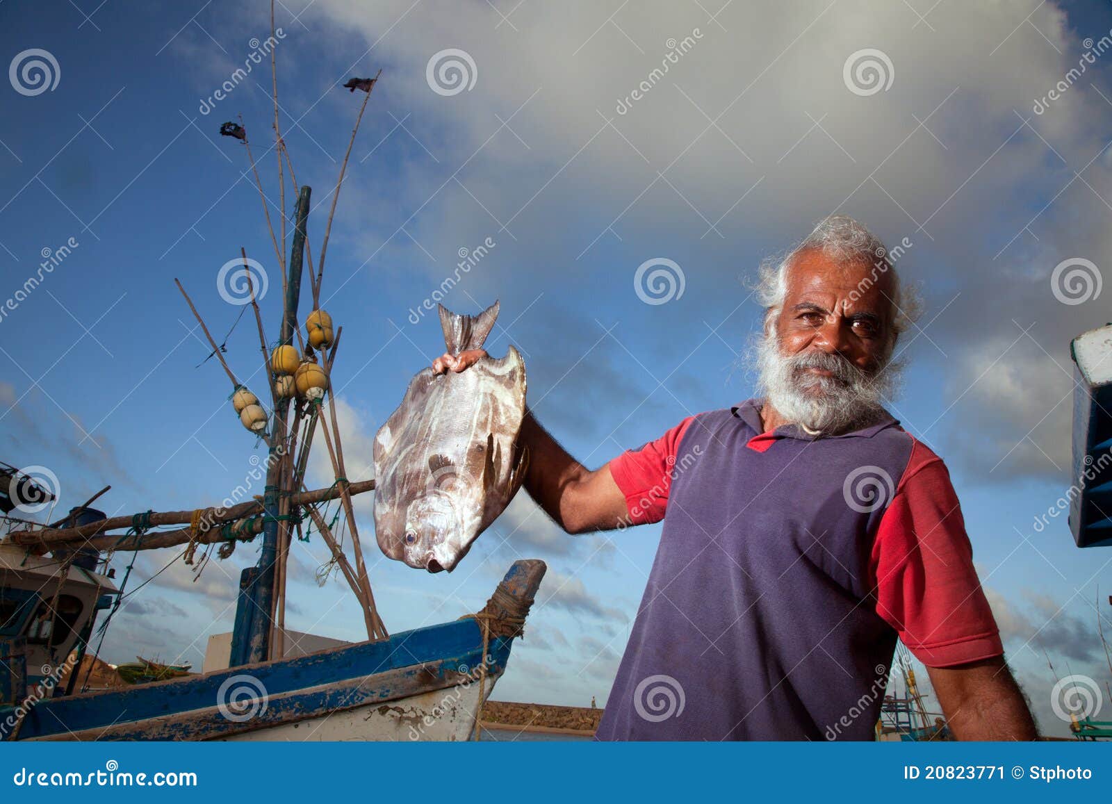 Man and fish stock image. Image of ship, employment, outstanding - 20823771