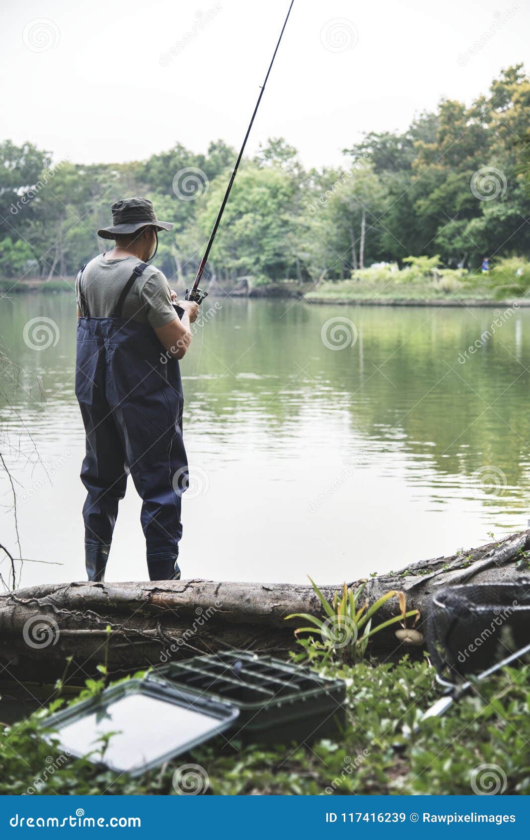 Man fishing by the lake stock image. Image of bank, american - 117416239
