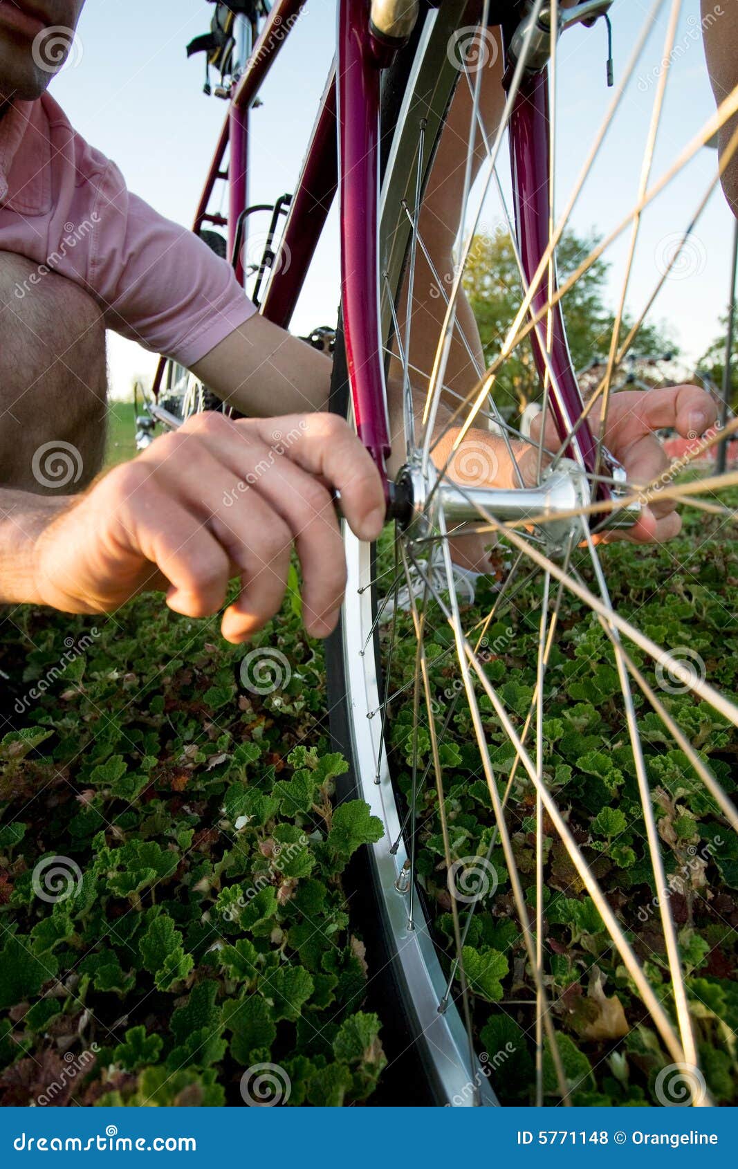 Man Fixing a Bike - Vertical Stock Photo - Image of bike, person: 5771148