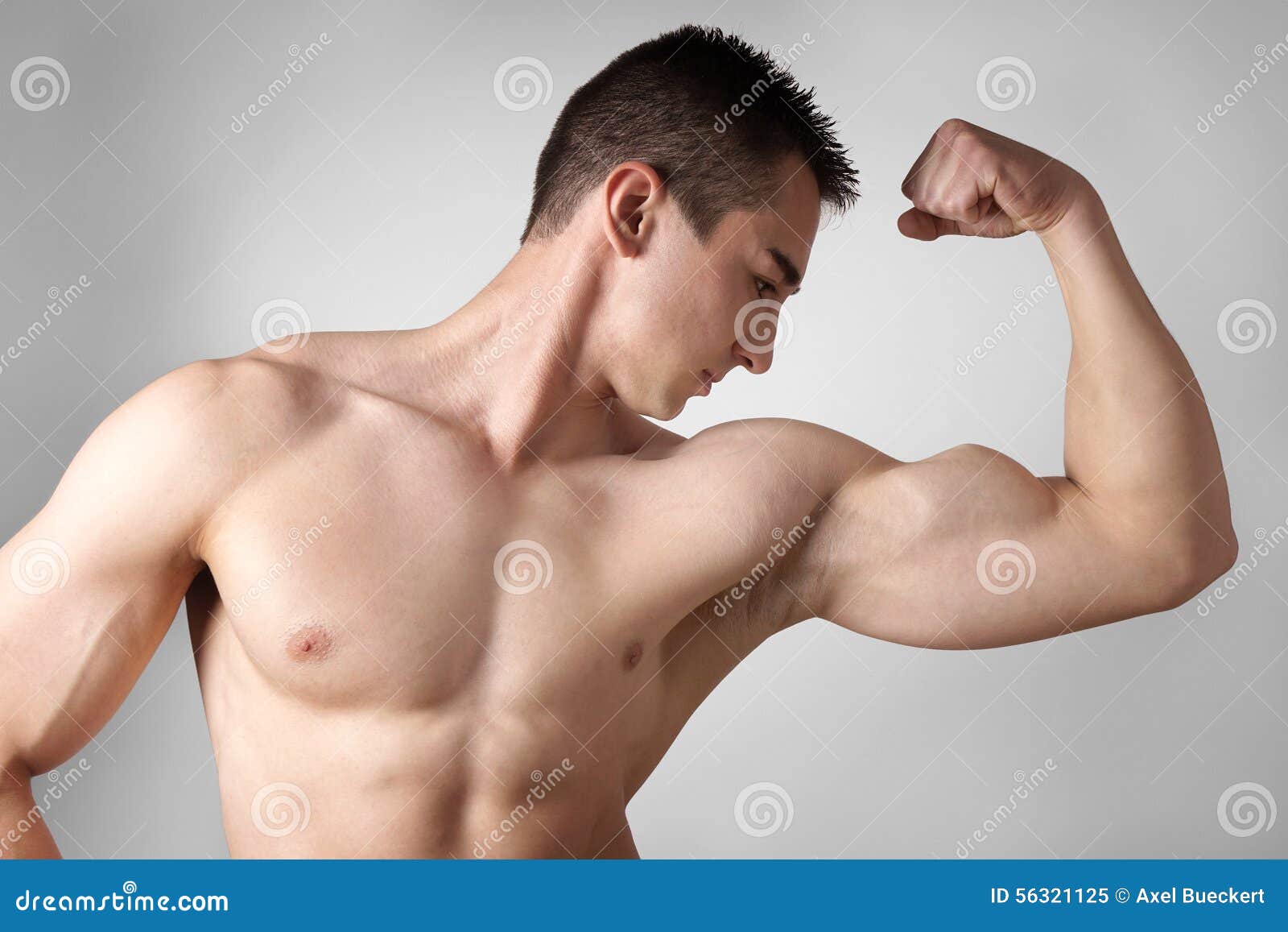 Man Flexing Biceps Muscles Stock Image Image Of Bodybuilding 56321125