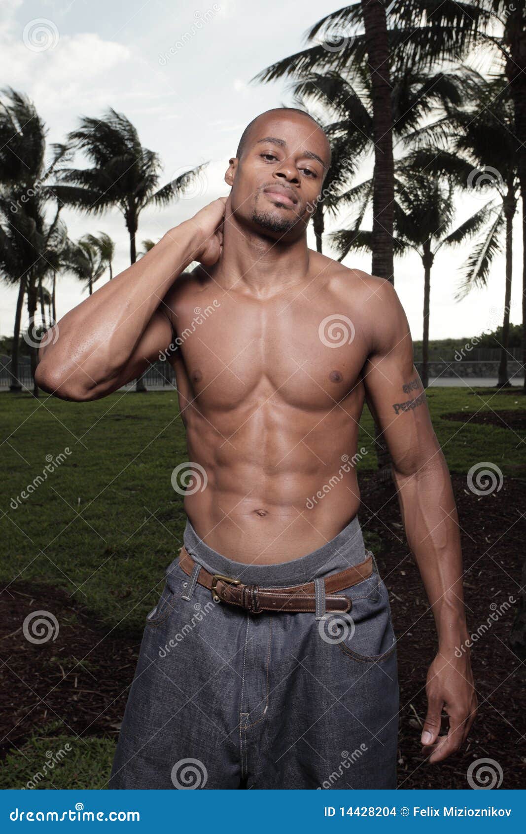 Man flexing his muscles stock photo. Image of male, person - 14428204