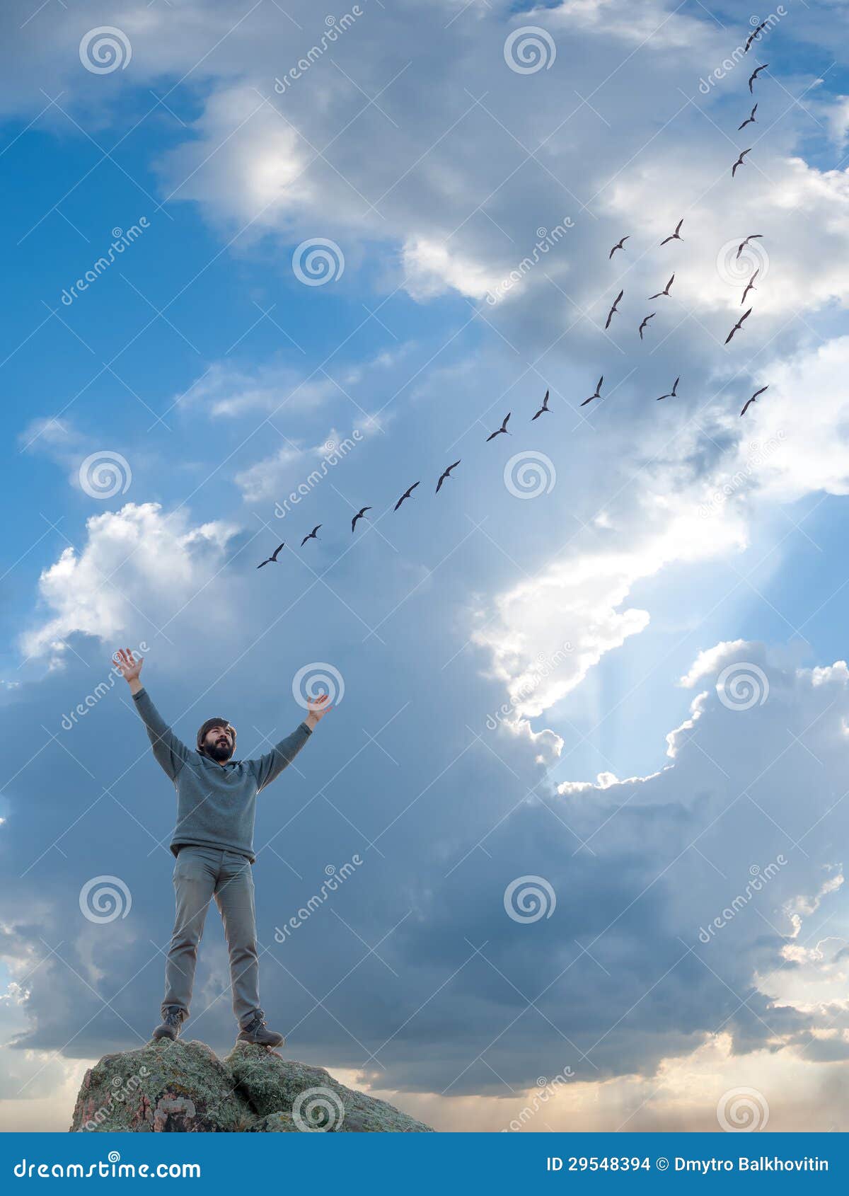 A Man and Flight of Flying Birds Stock Photo - Image of flight, bird ...