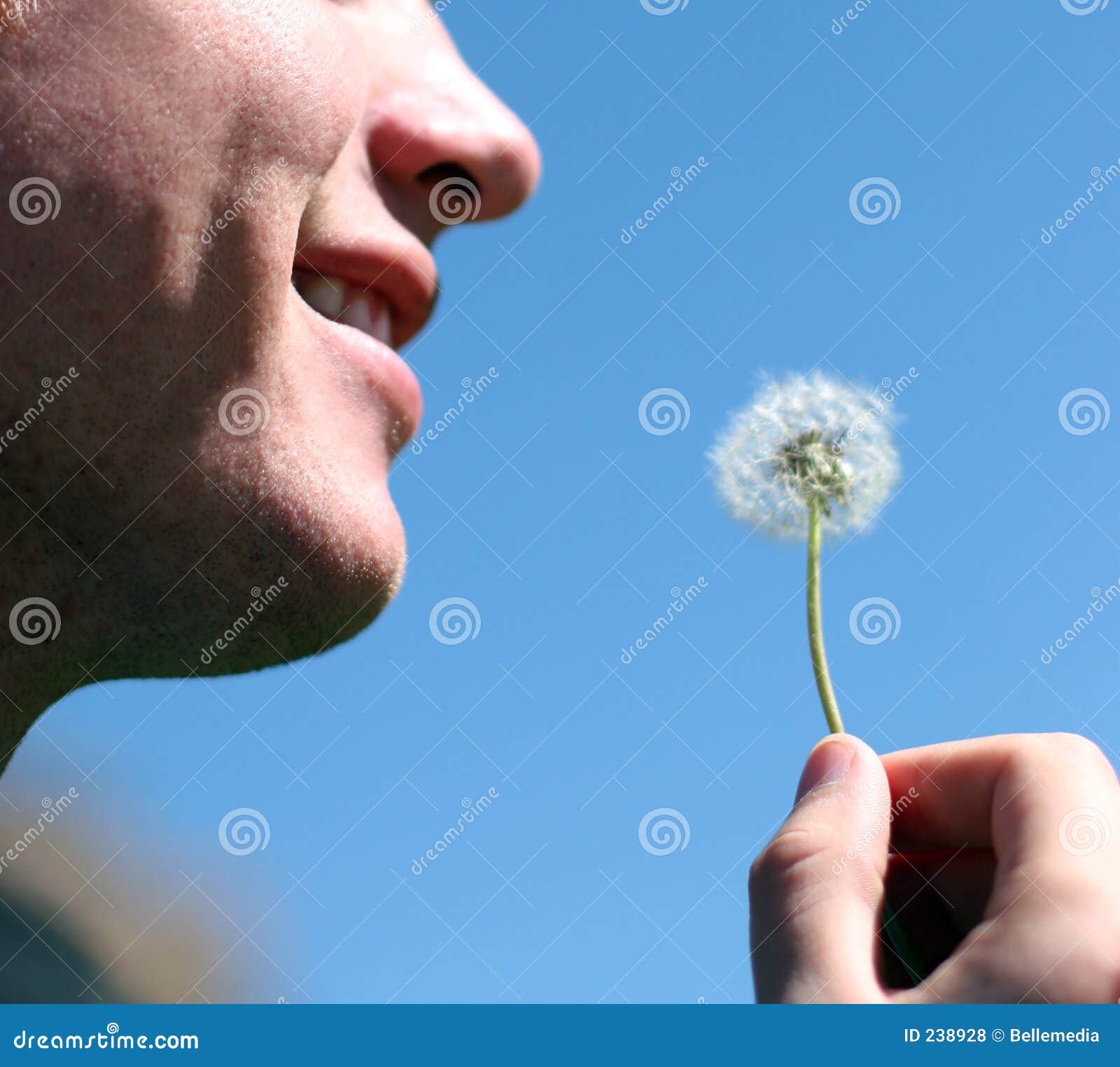 Man and flower stock photo. Image of head, wind, pompon - 238928