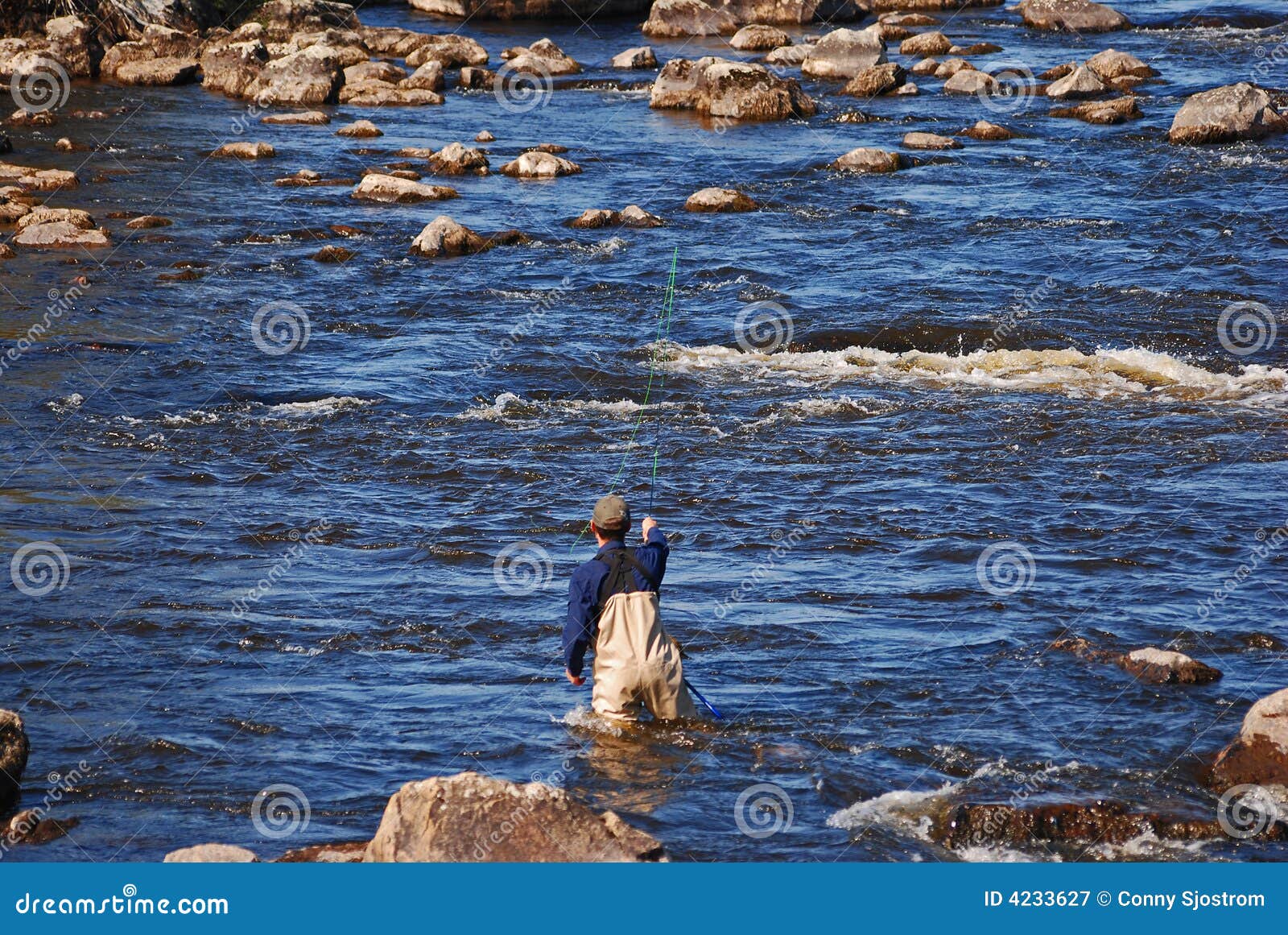 Man fly fishing stock image. Image of freshwater, sweden - 4233627
