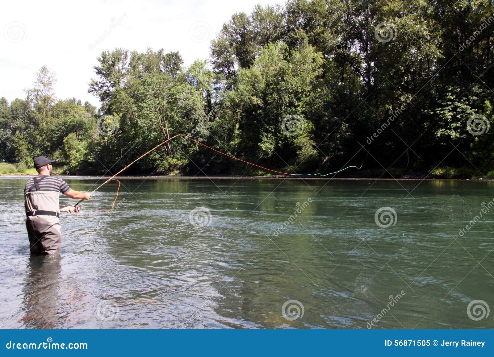 Man fly fishing editorial image. Image of forest, shore - 56871505