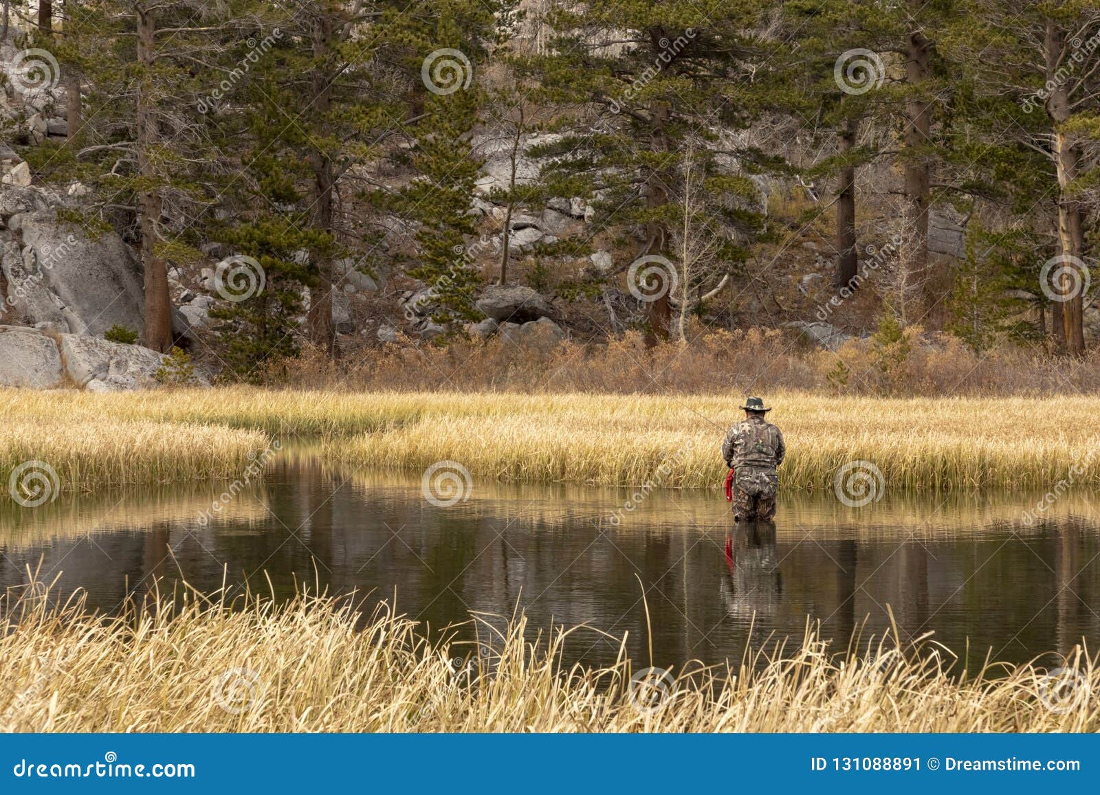 Man fly fishing in meadow editorial photo. Image of fishing - 131088891