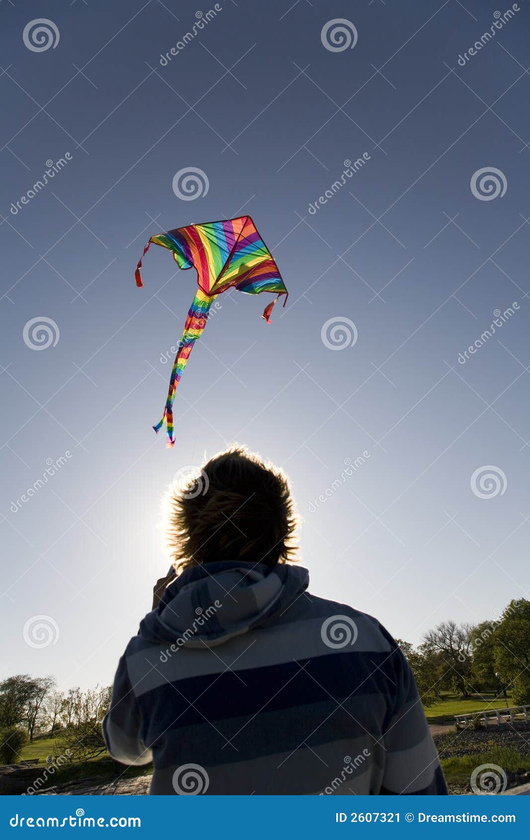 Man flying a kite stock image. Image of leisure, happy - 2607321