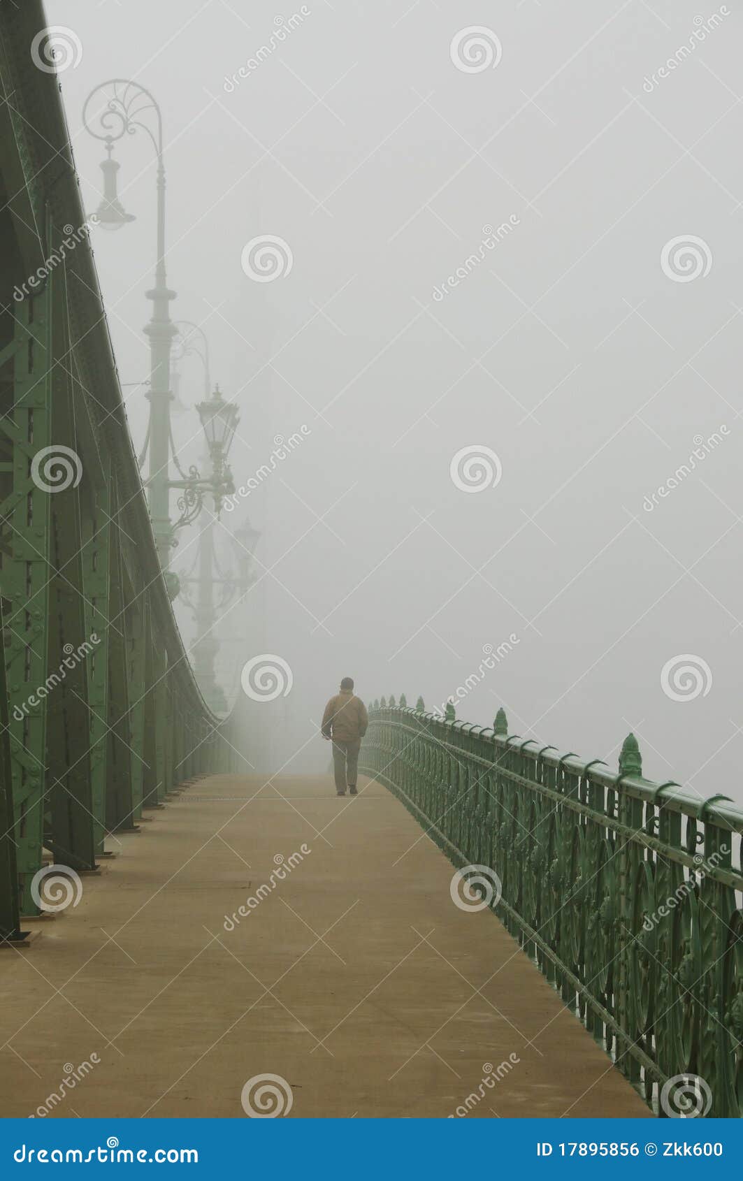 Man in the fog stock photo. Image of details, weather - 17895856