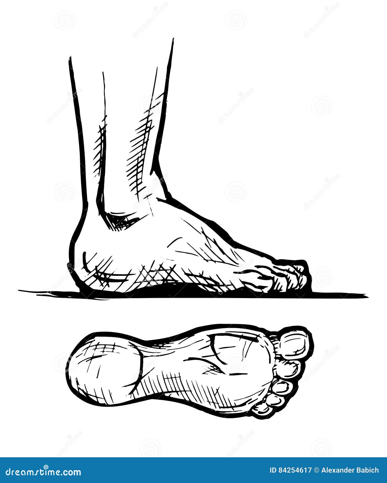 Man footprint and leg stock vector. Illustration of feet - 84254617