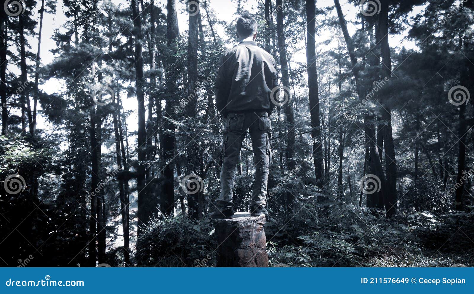 Man in the forest stock image. Image of nature, fore - 211576649