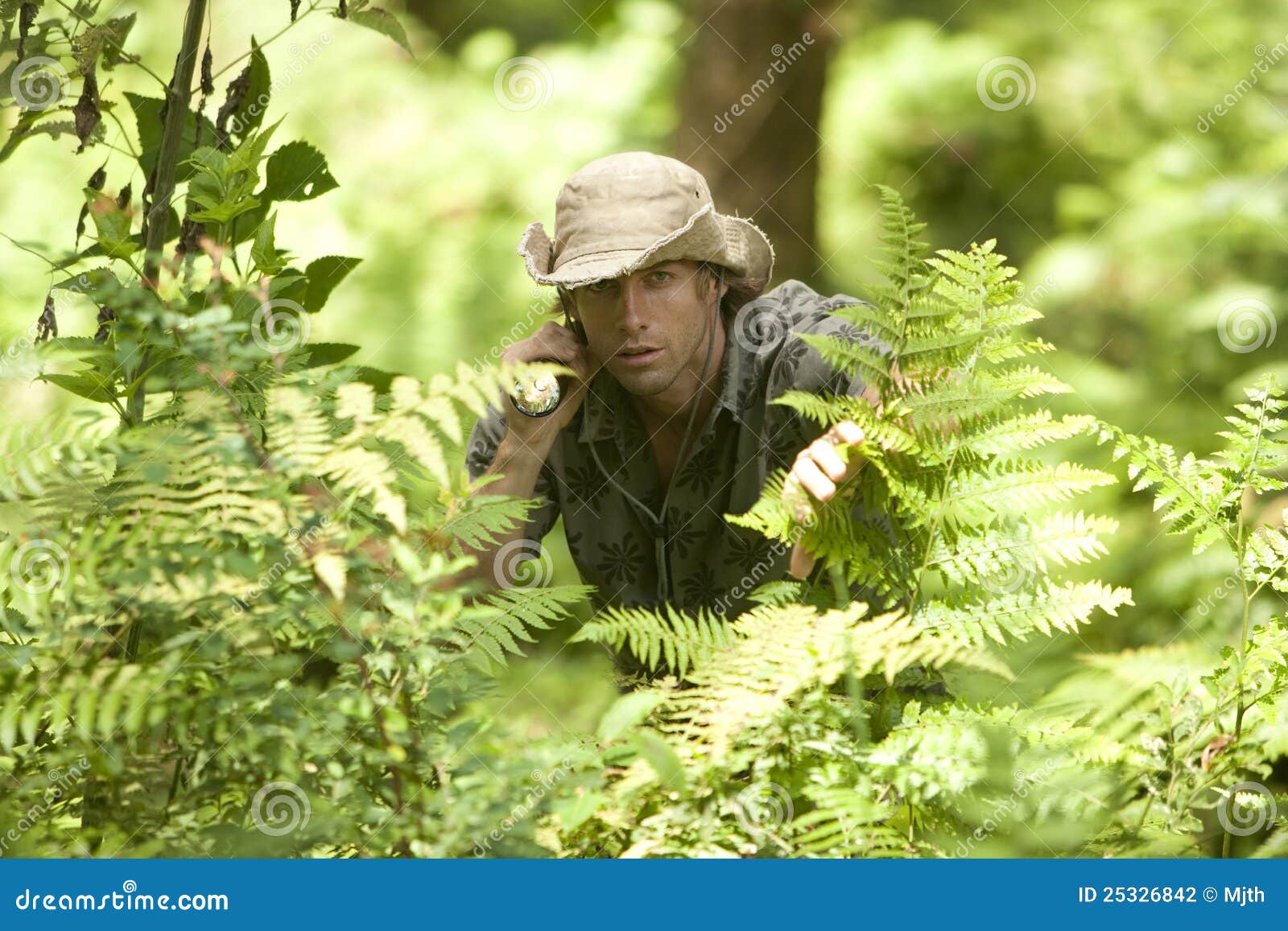 Man through Forest stock photo. Image of indonesia, ferns - 25326842