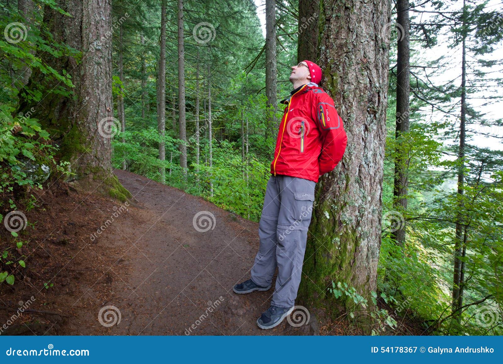 Man in forest stock image. Image of lifestyle, closeup - 54178367