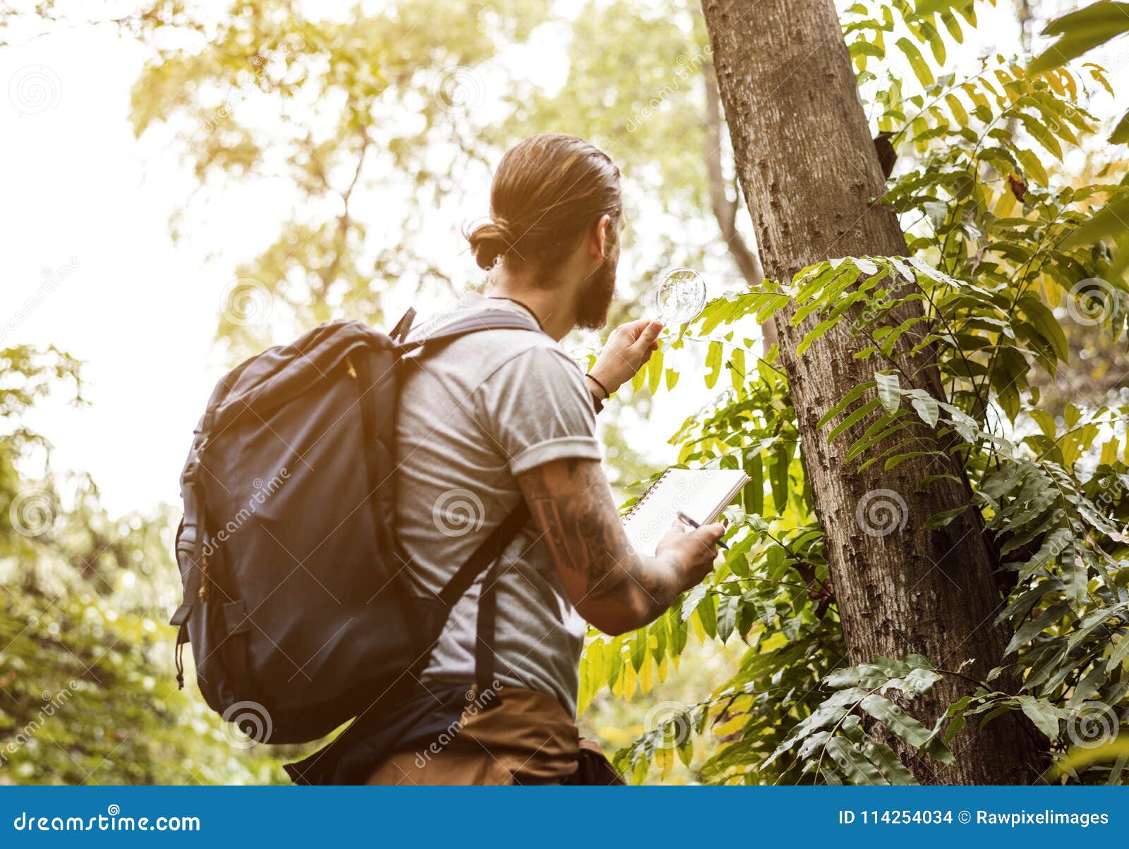 Man in Forest Alone for Trekking Stock Photo - Image of leaves ...
