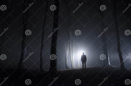 Man in Forest at Night with Fog Stock Image - Image of ground ...