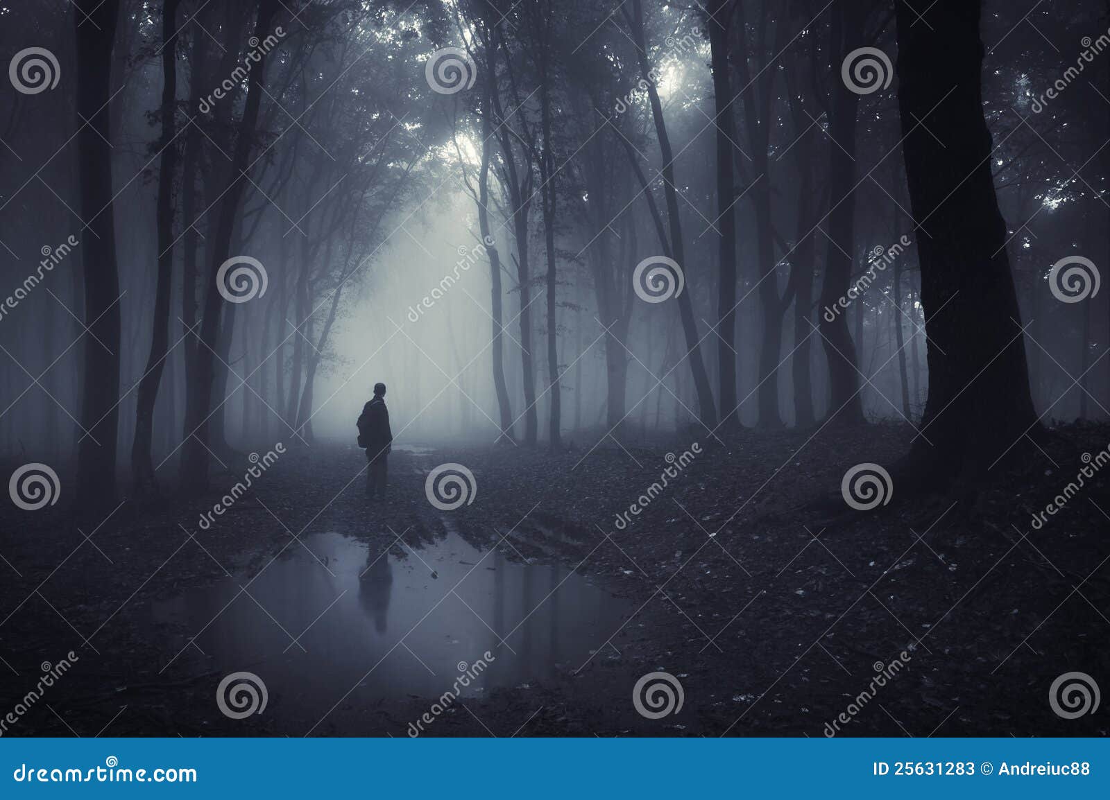 Man in a Forest with Pond and Fog after Rain Stock Image - Image of ...