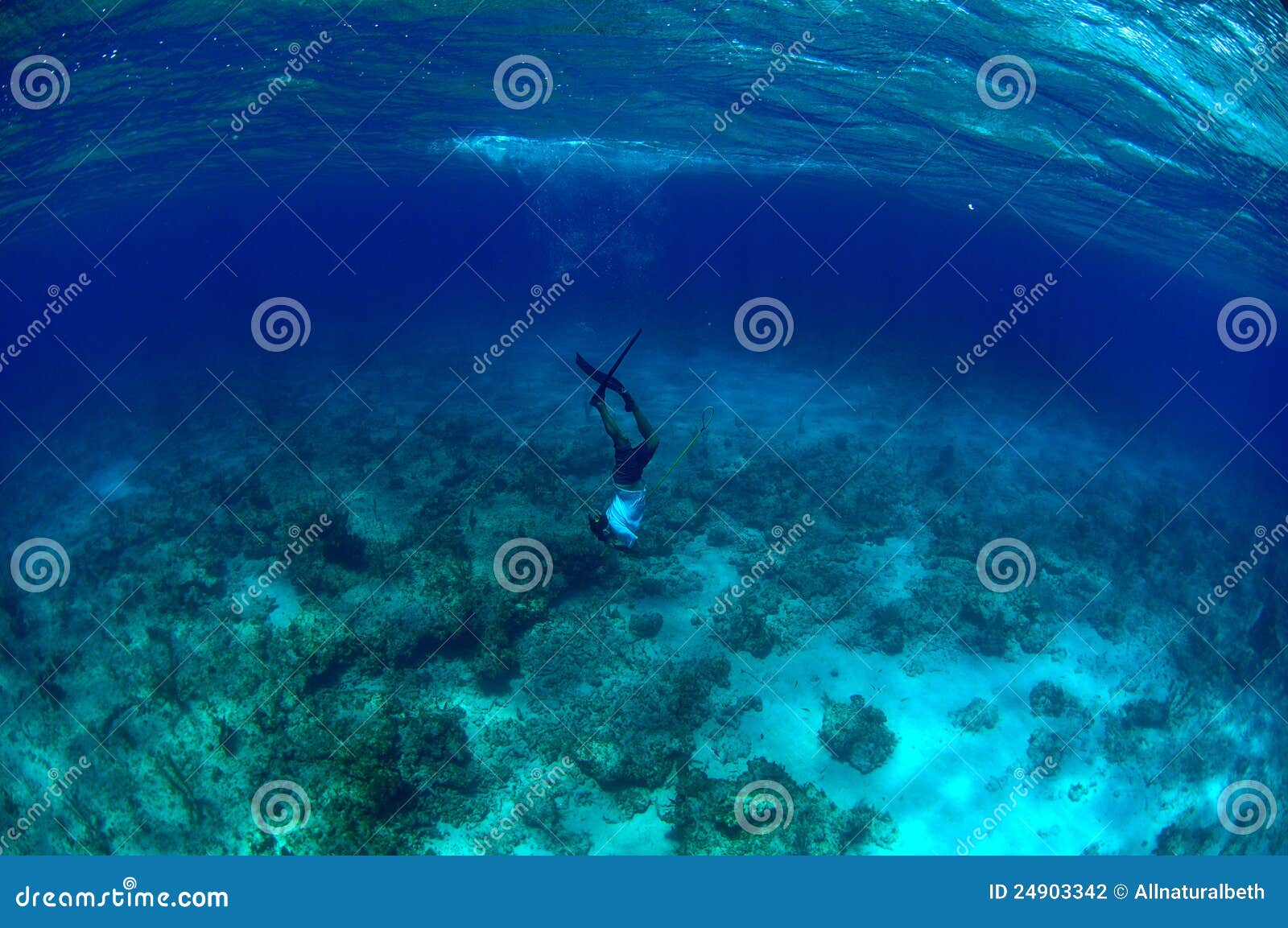 Man Free Diving and Spear Fishing Stock Photo - Image of ocean, fins ...