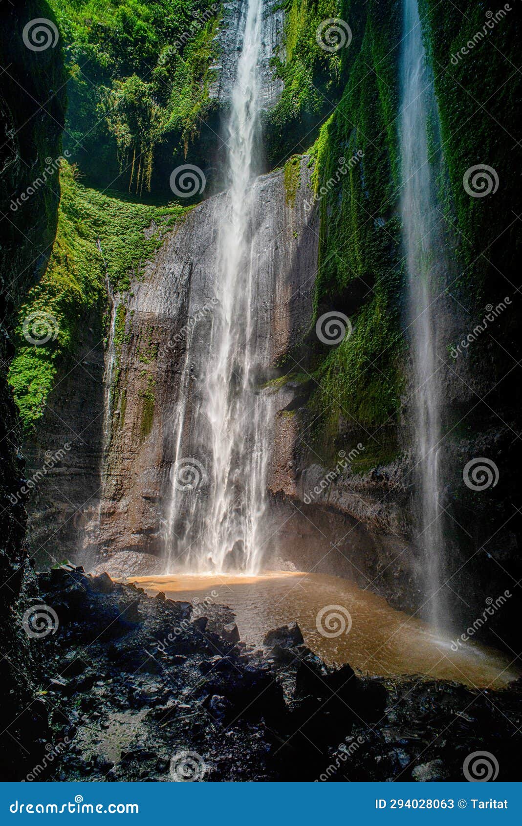Madakaripura Waterfall is the Tallest Waterfall in Java,Indonesia Stock ...