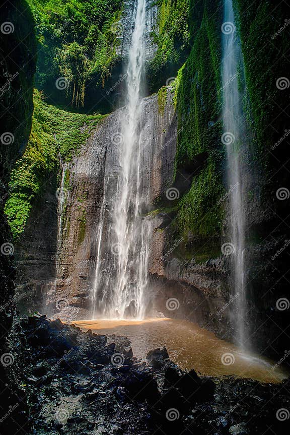 Madakaripura Waterfall is the Tallest Waterfall in Java,Indonesia Stock ...