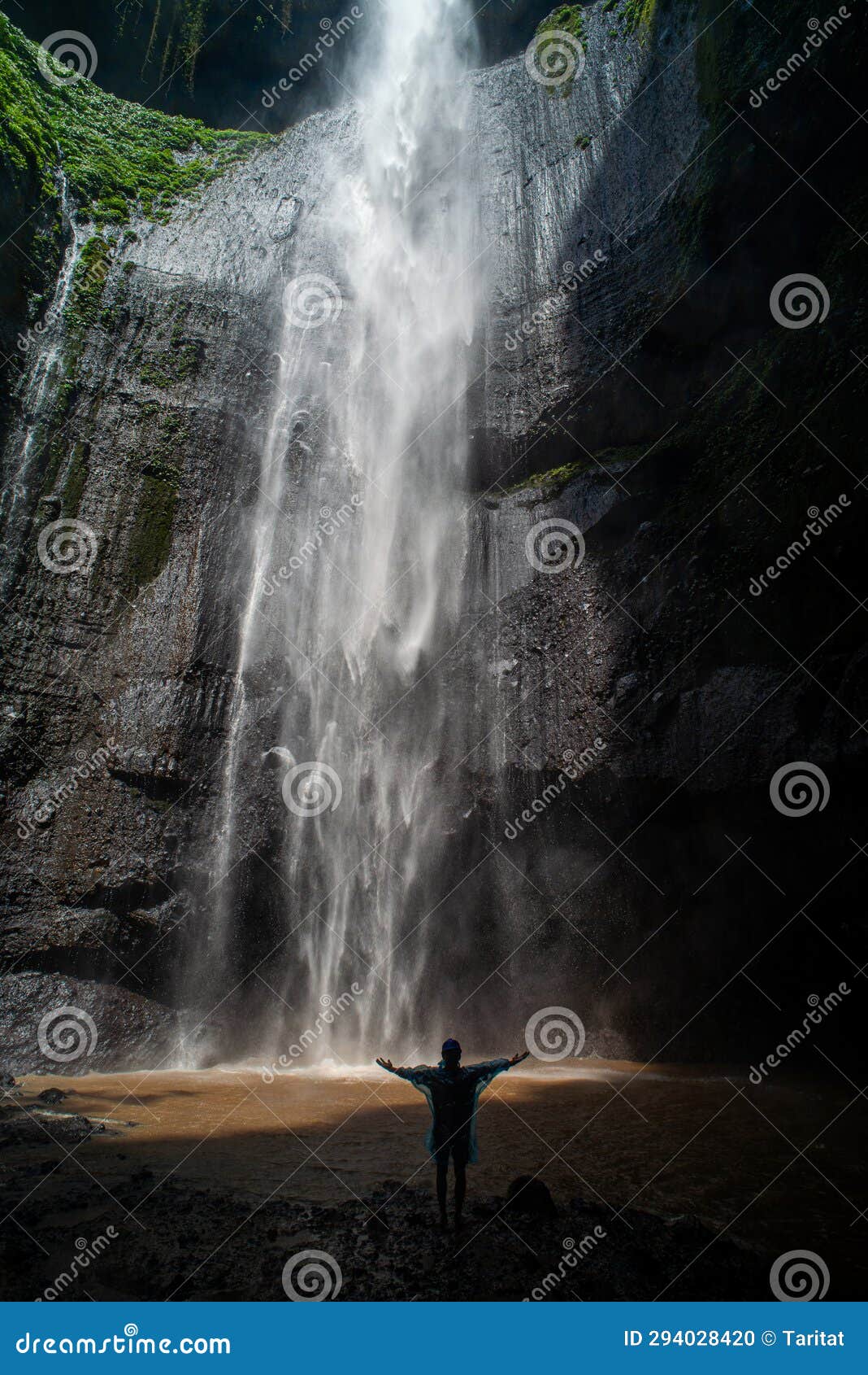 Madakaripura Waterfall is the Tallest Waterfall in Java,Indonesia Stock ...