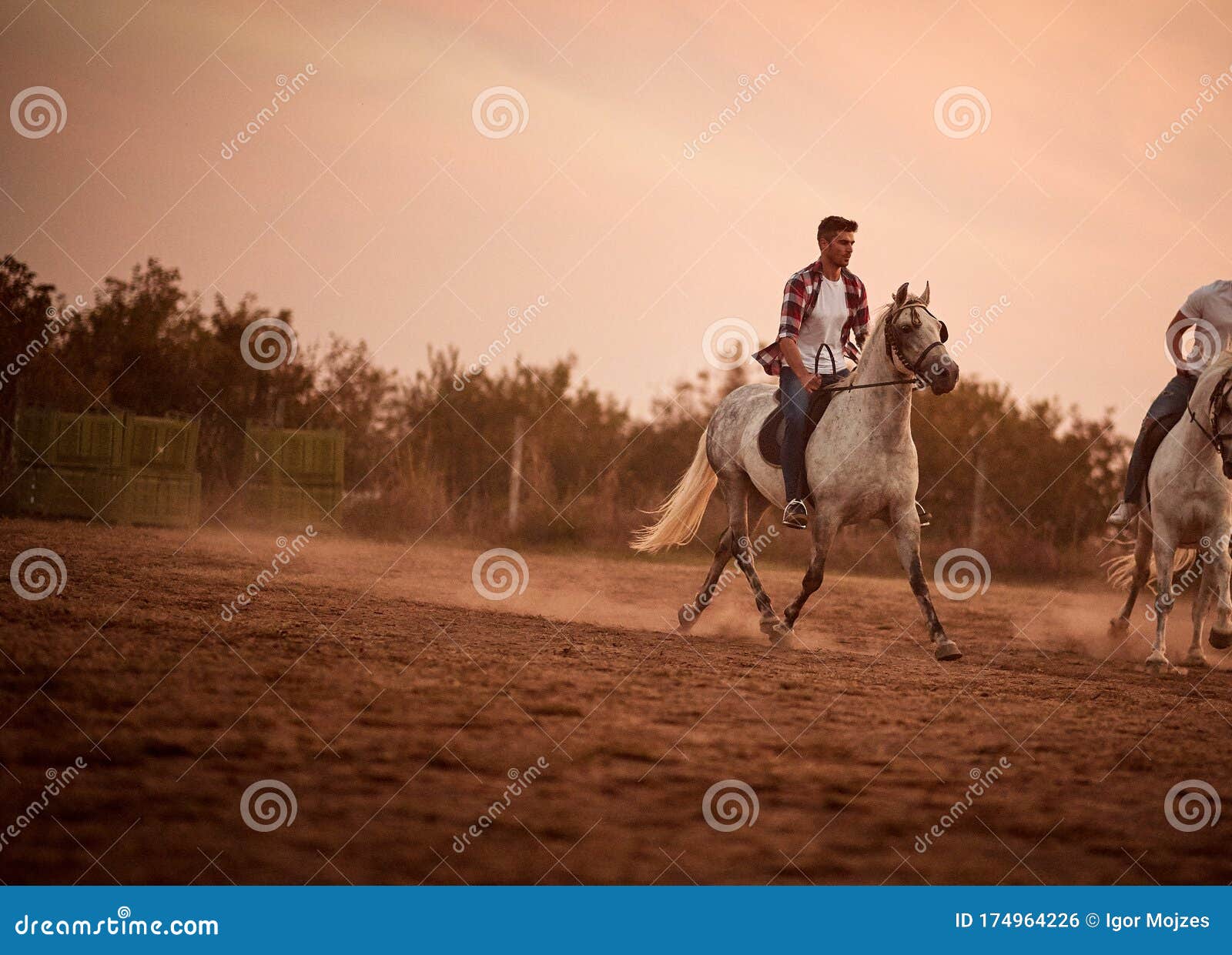 Man on Galloping Horse at Sunset Stock Photo - Image of agriculture ...