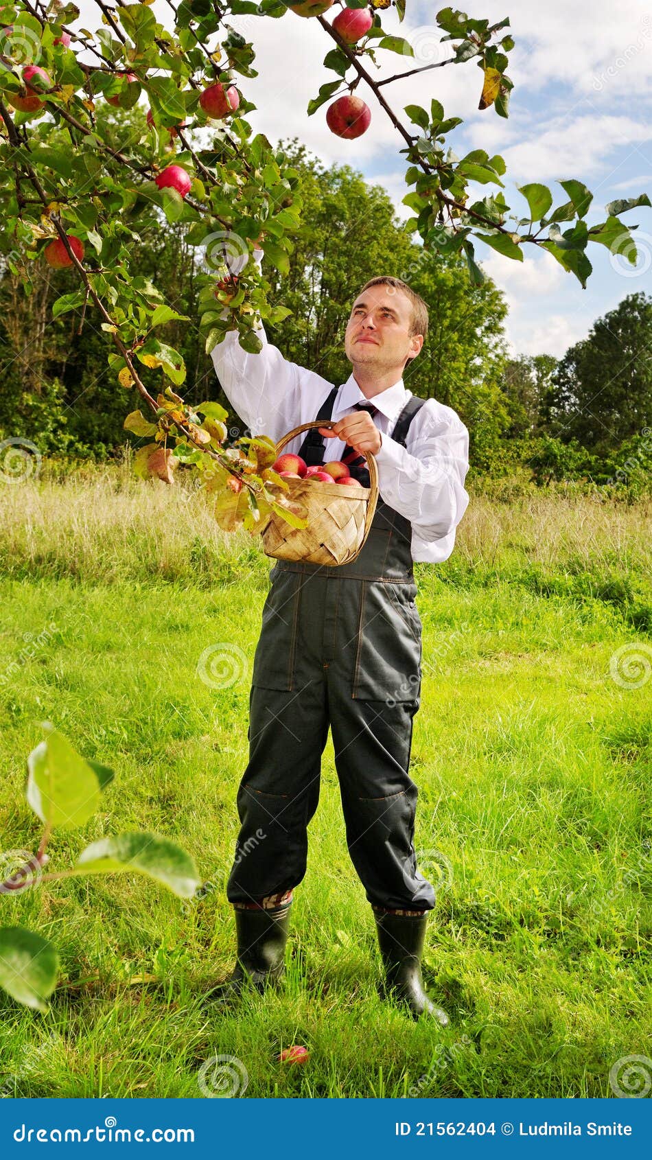 Man in a garden. stock photo. Image of organic, male - 21562404