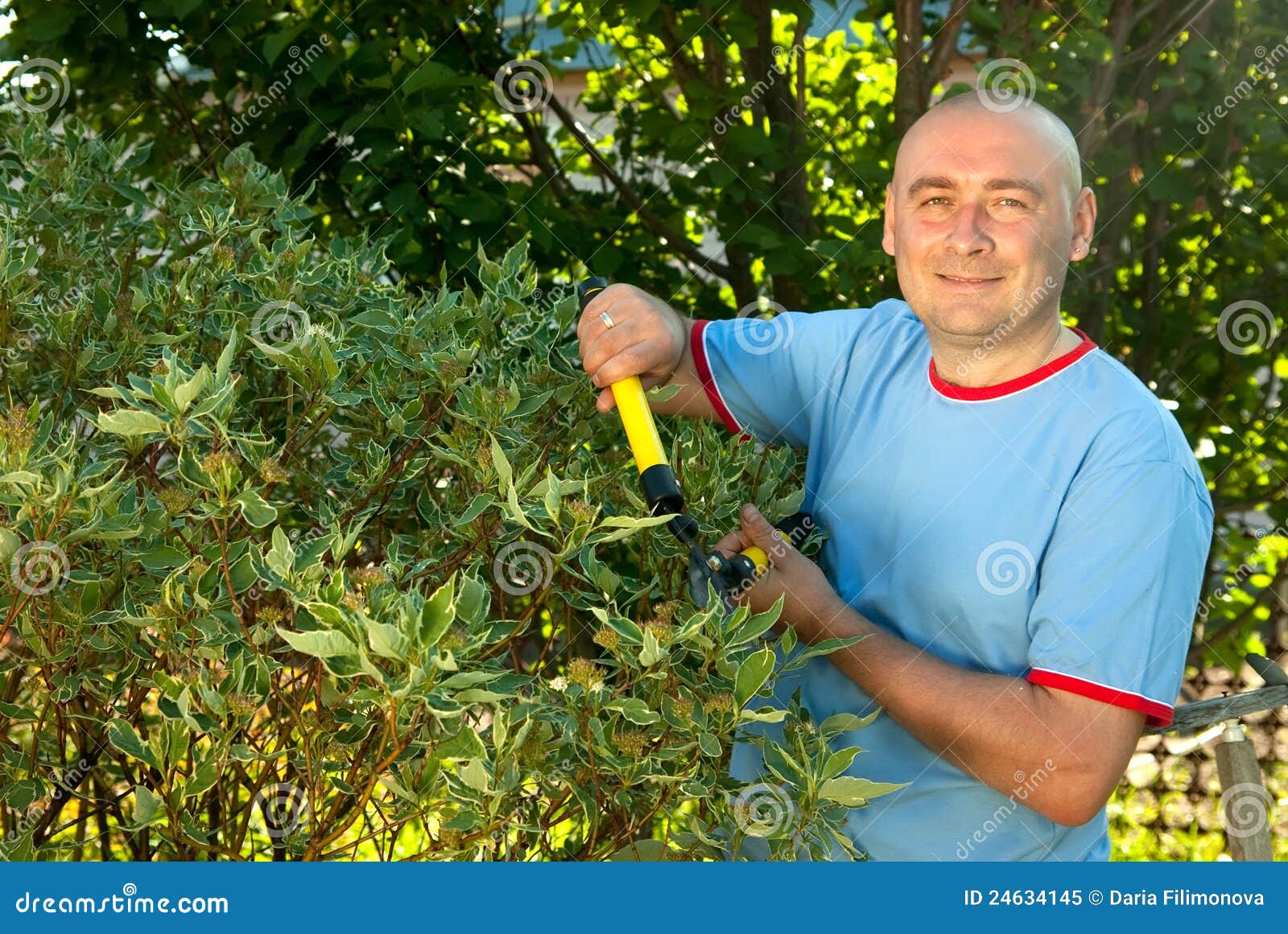 Man with garden pruner stock image. Image of working - 24634145