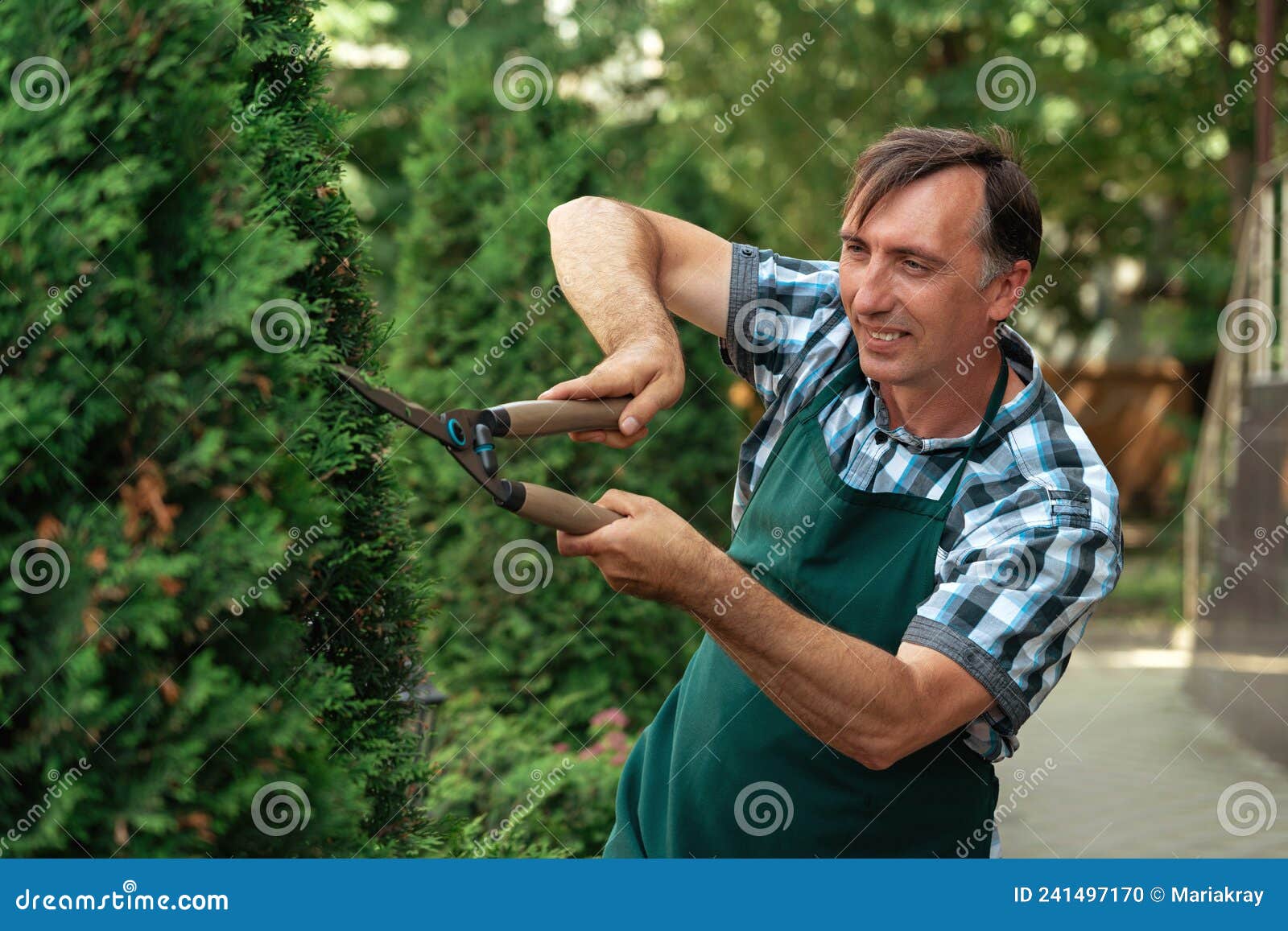 Man with Garden Shears Cutting Bushes and Trees in the Garden Stock ...