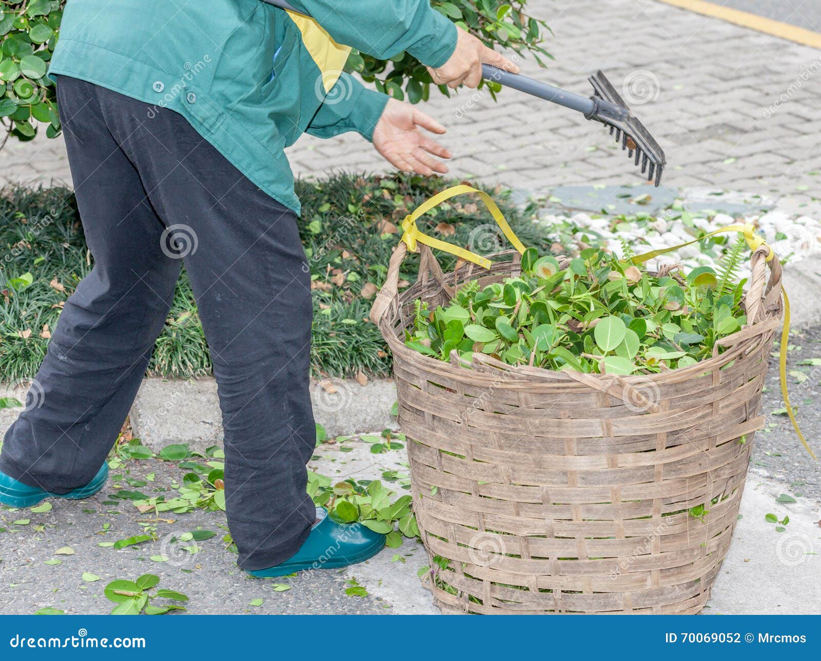 Man Gardener Cleans Up the Garden with His Rake. Stock Photo - Image of ...