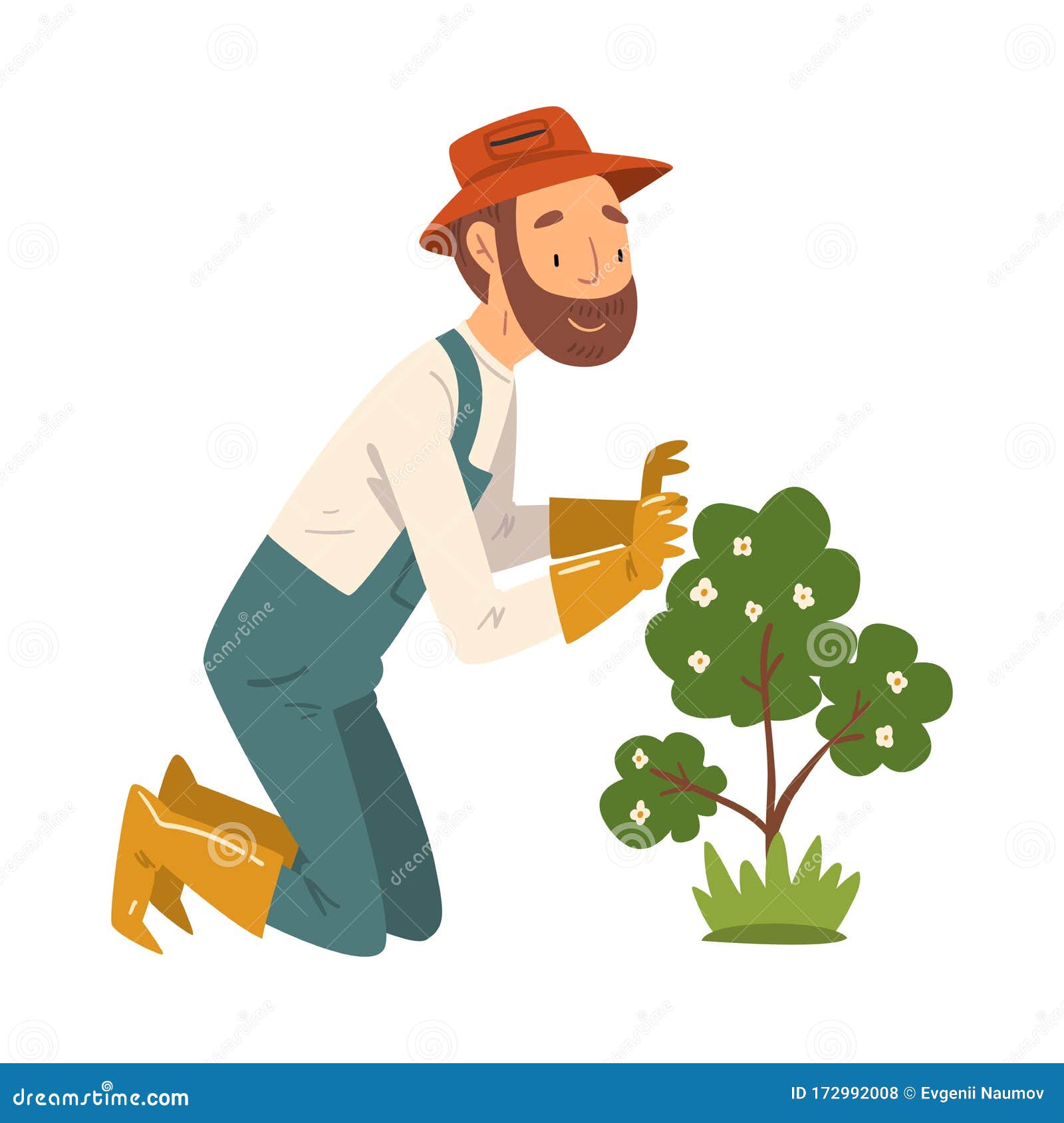 Man Gardener Looking In Admiration At Flowering Plant Male Farmer