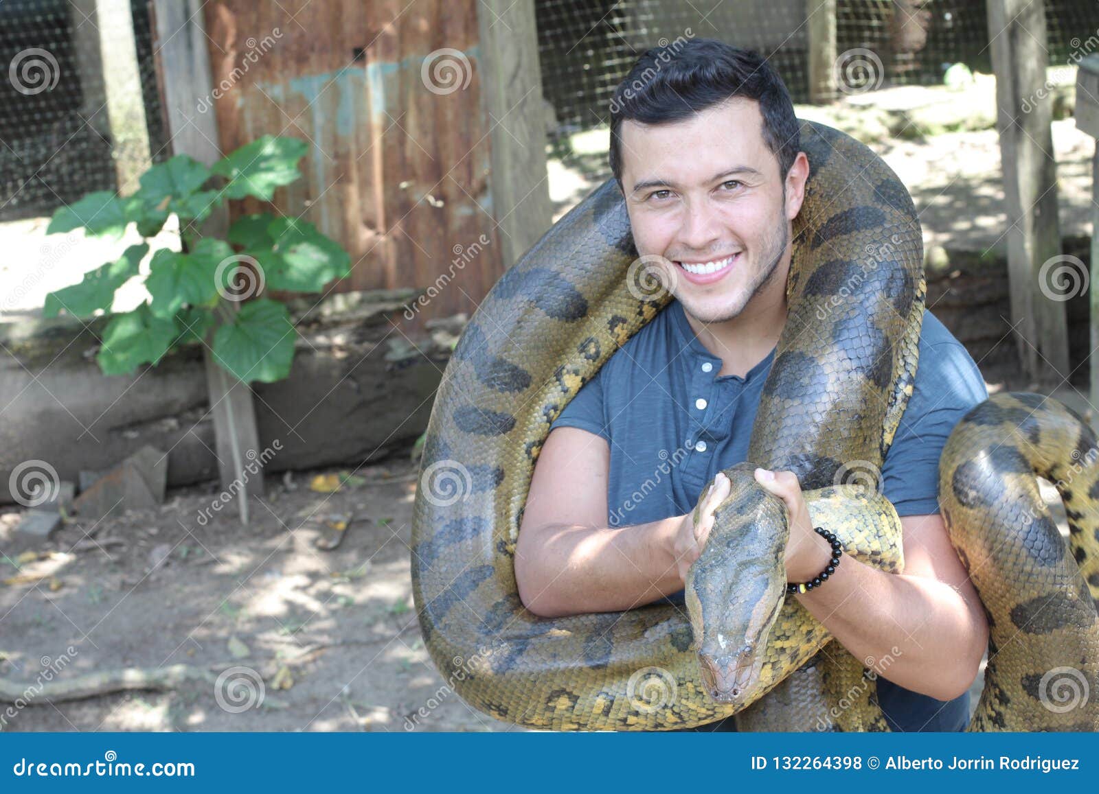 Man With A Giant Anaconda Around His Neck Stock Photography ...