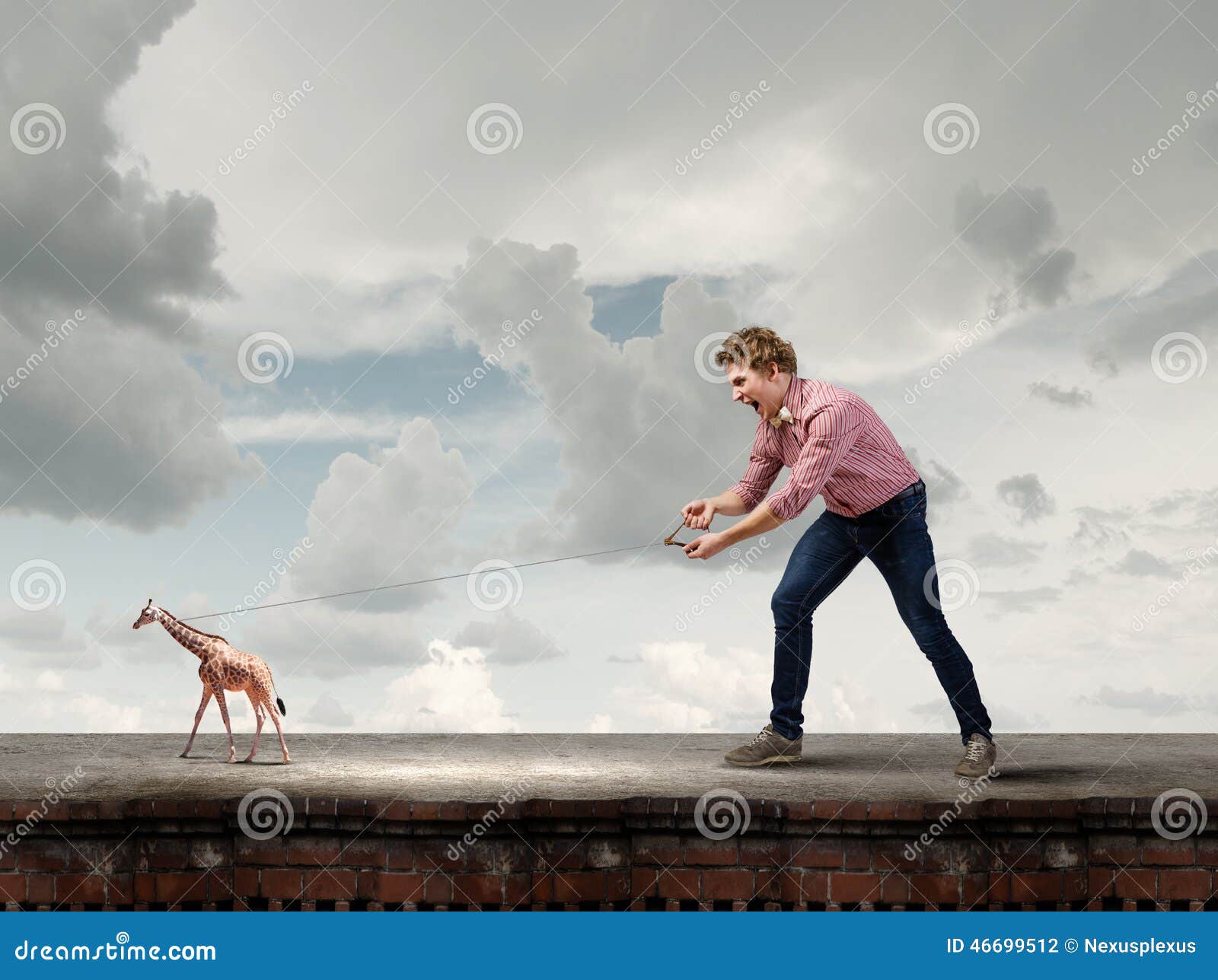 Man with giraffe stock photo. Image of canine, holiday - 46699512