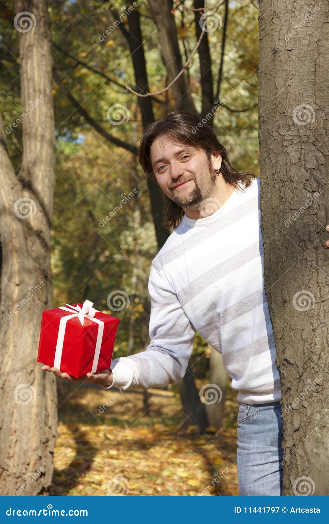 Man gives a gift stock image. Image of smile, holiday - 11441797