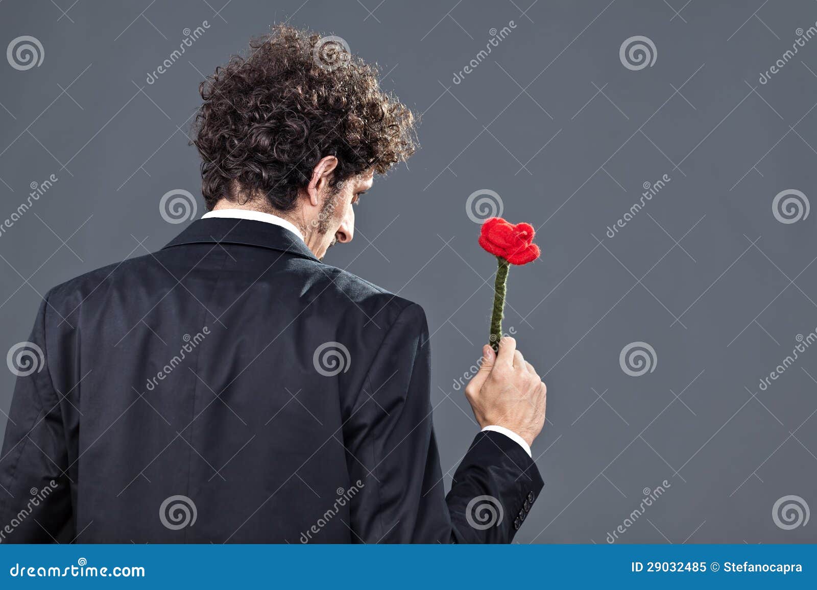 Man giving fabric rose stock image. Image of give, lifestyle - 29032485