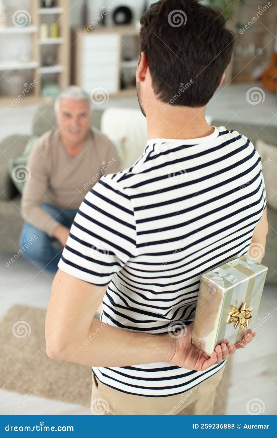 Man giving gift to father stock photo. Image of fondness - 259236888