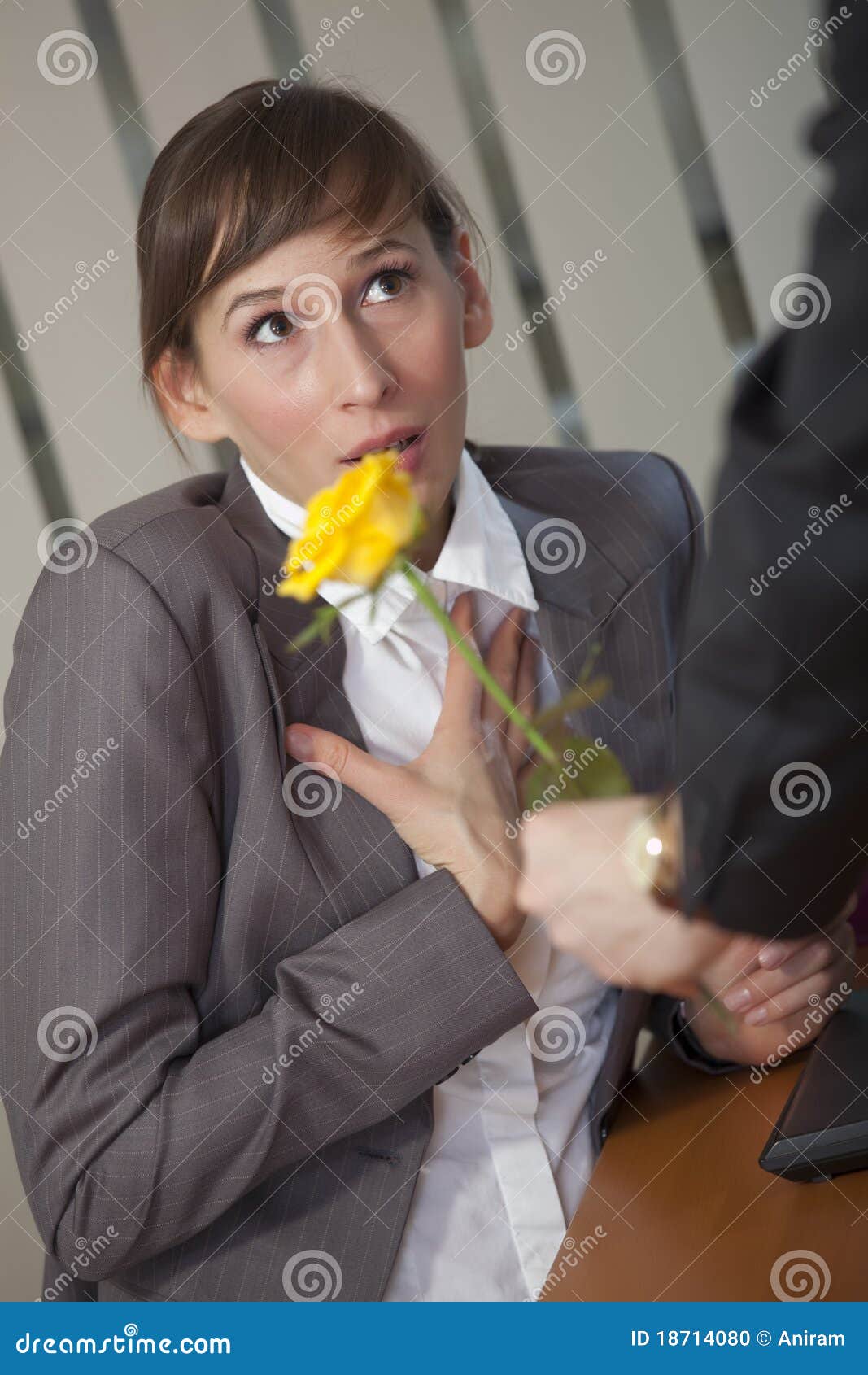 Man giving rose stock photo. Image of romance, workplace - 18714080