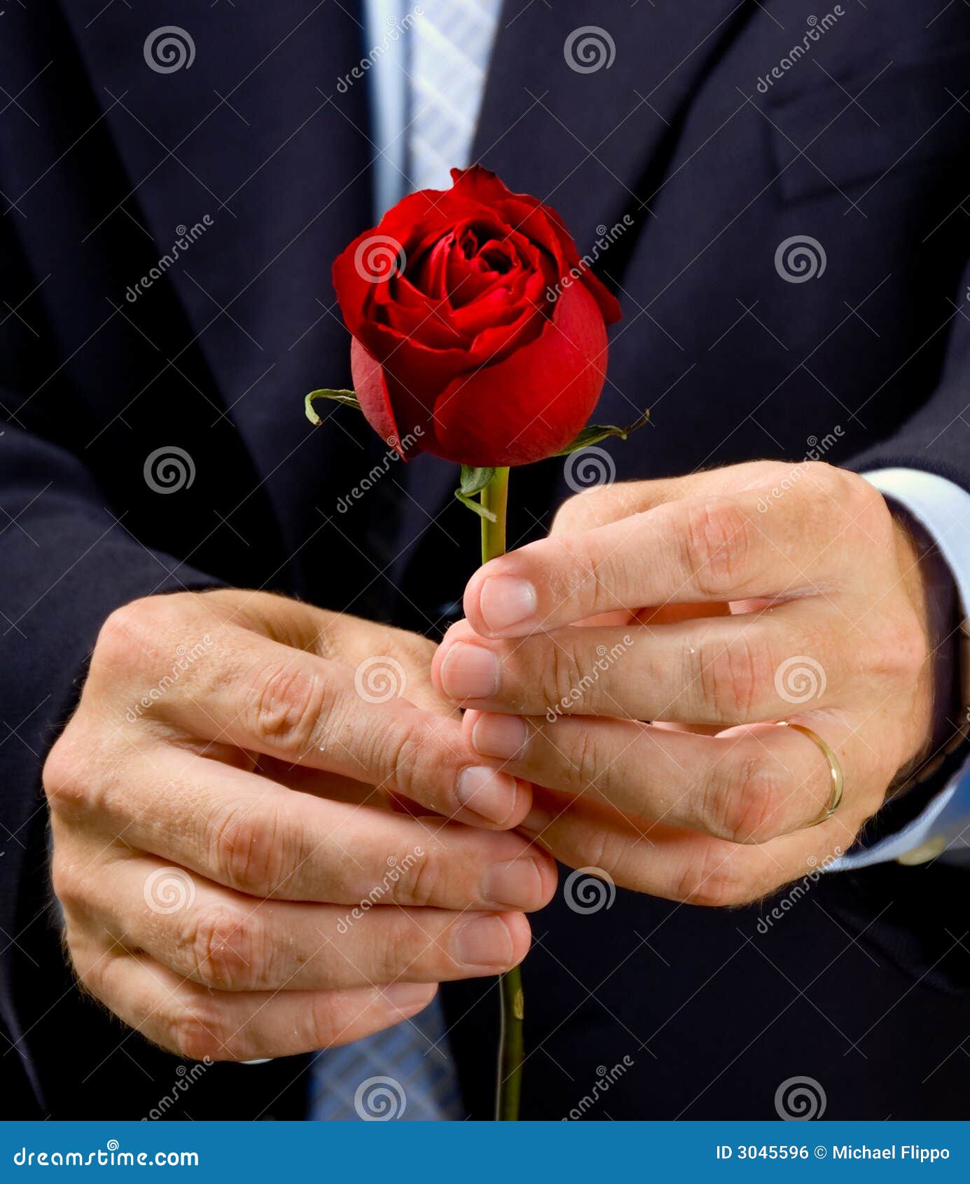 Man giving rose stock photo. Image of rose, fingers, male - 3045596