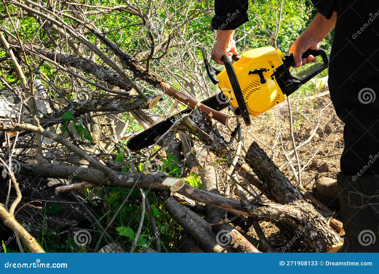 Sawing branches stock image. Image of close, sawdust - 271908133