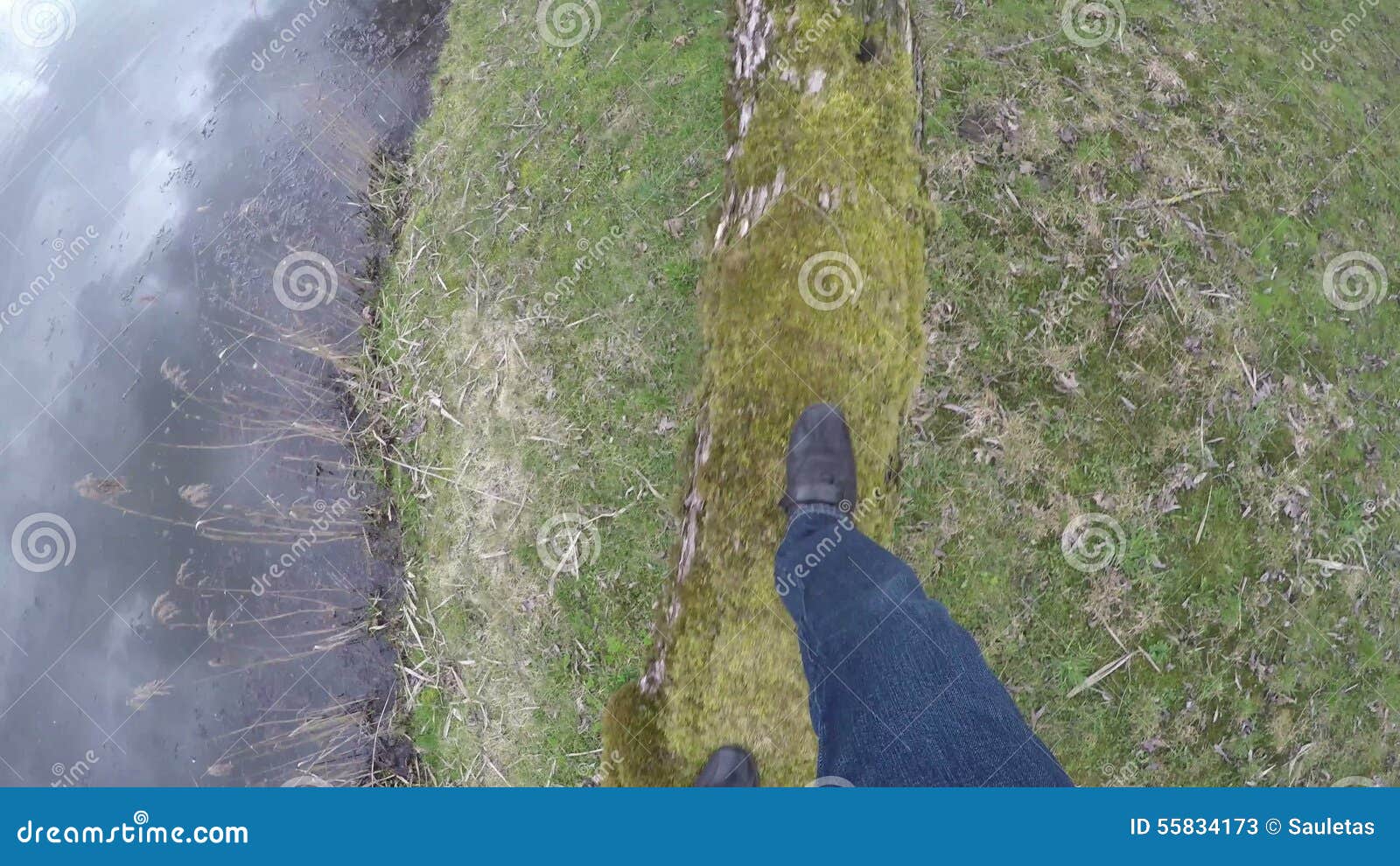 Man Go Fallen Mossy Log Over Stream. Camera on Man Head Stock Video ...