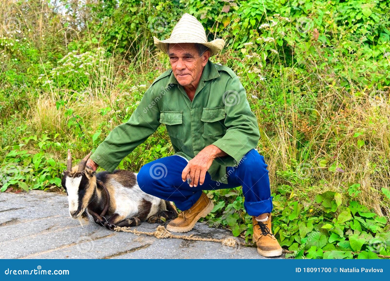 Man and goat editorial image. Image of cigar, person - 18091700