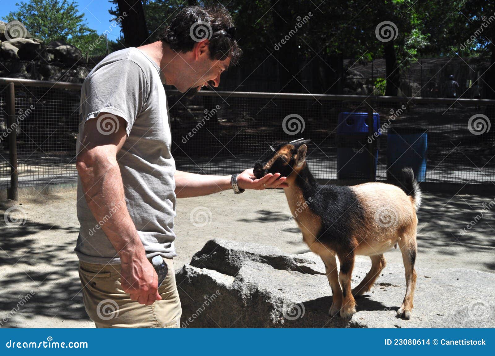 Man and Goat stock photo. Image of lovely, hand, sweet - 23080614