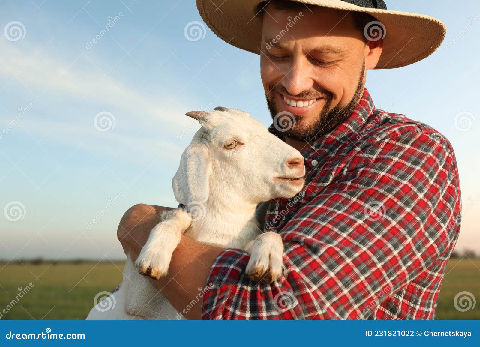 Man with Goat at Farm. Animal Husbandry Stock Photo - Image of fauna ...