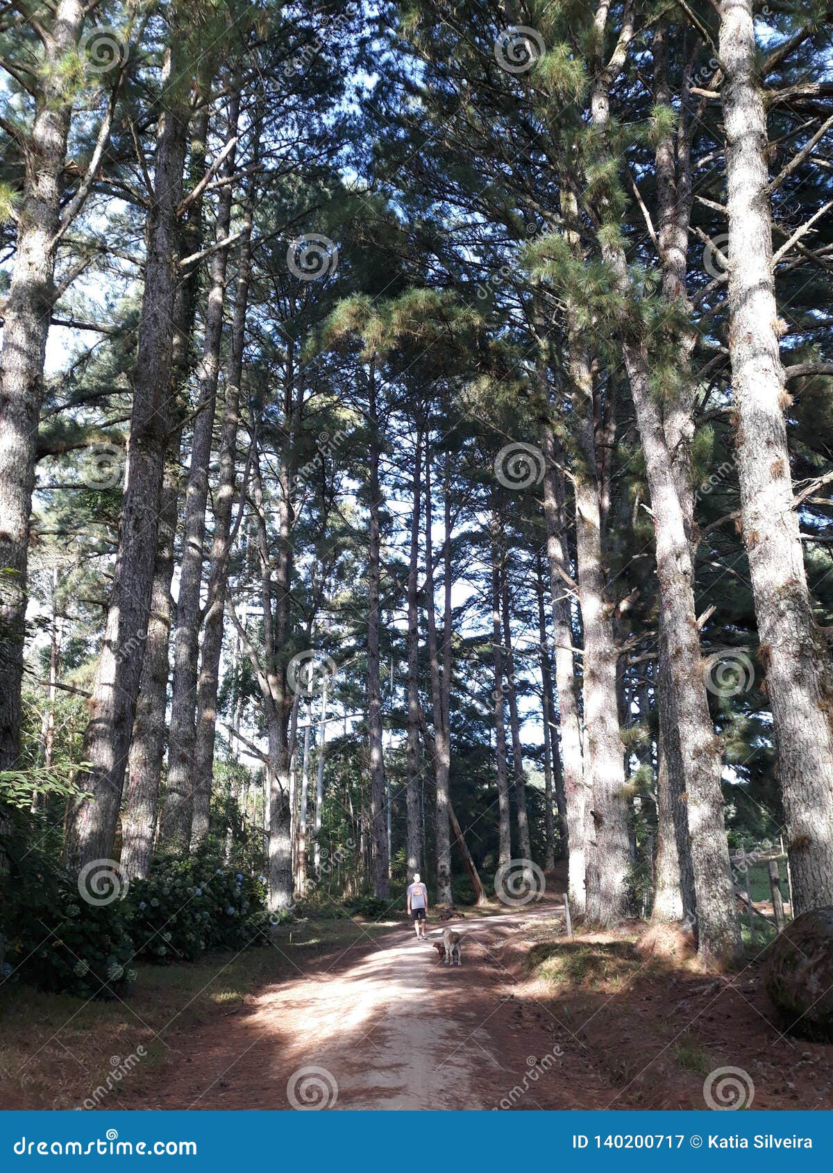 Walking in peace stock image. Image of walking, dirt - 140200717