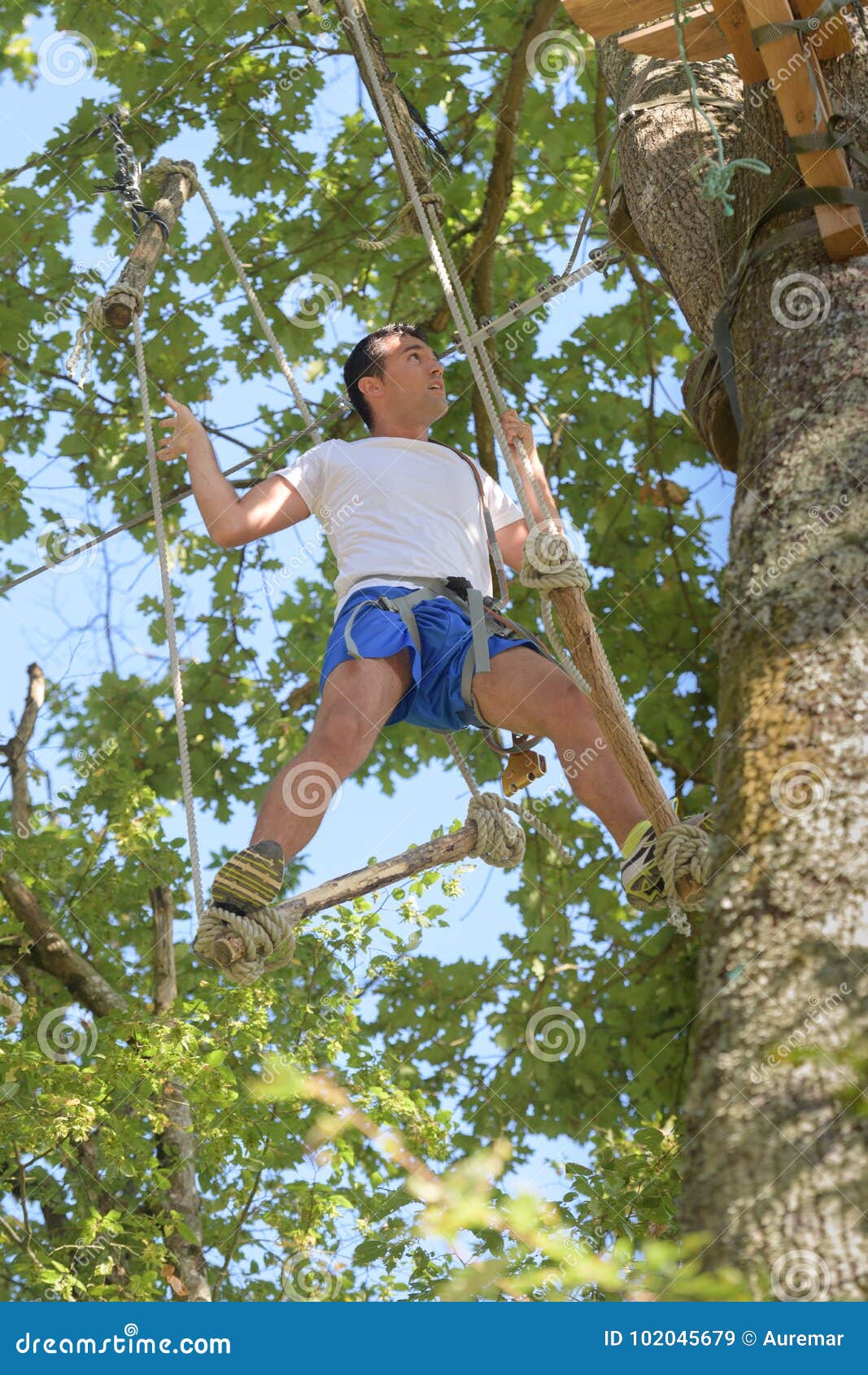 Man Going on Rope Bridge Adventure through Forest Stock Image - Image ...