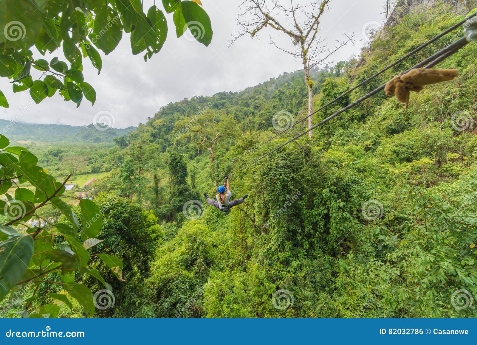 Man Going on Zipline Adventure through the Forest in Lao Stock Photo ...