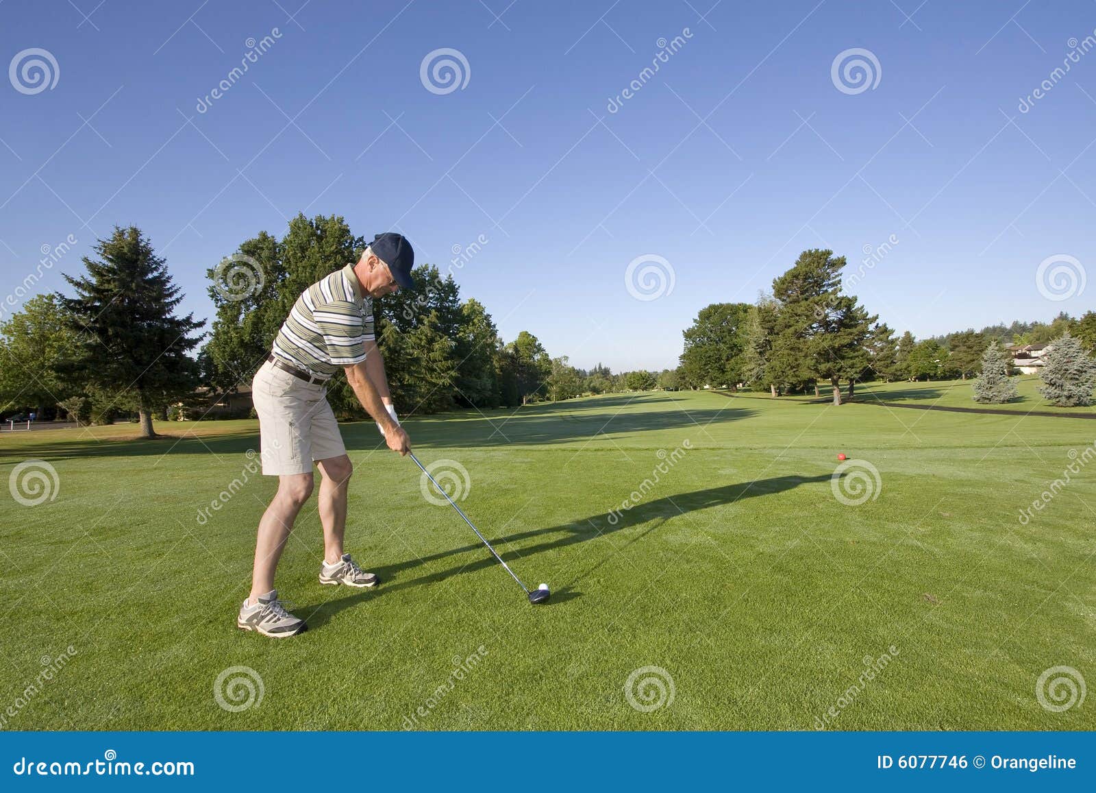 Man on Golf Course stock photo. Image of senior, happiness - 6077746