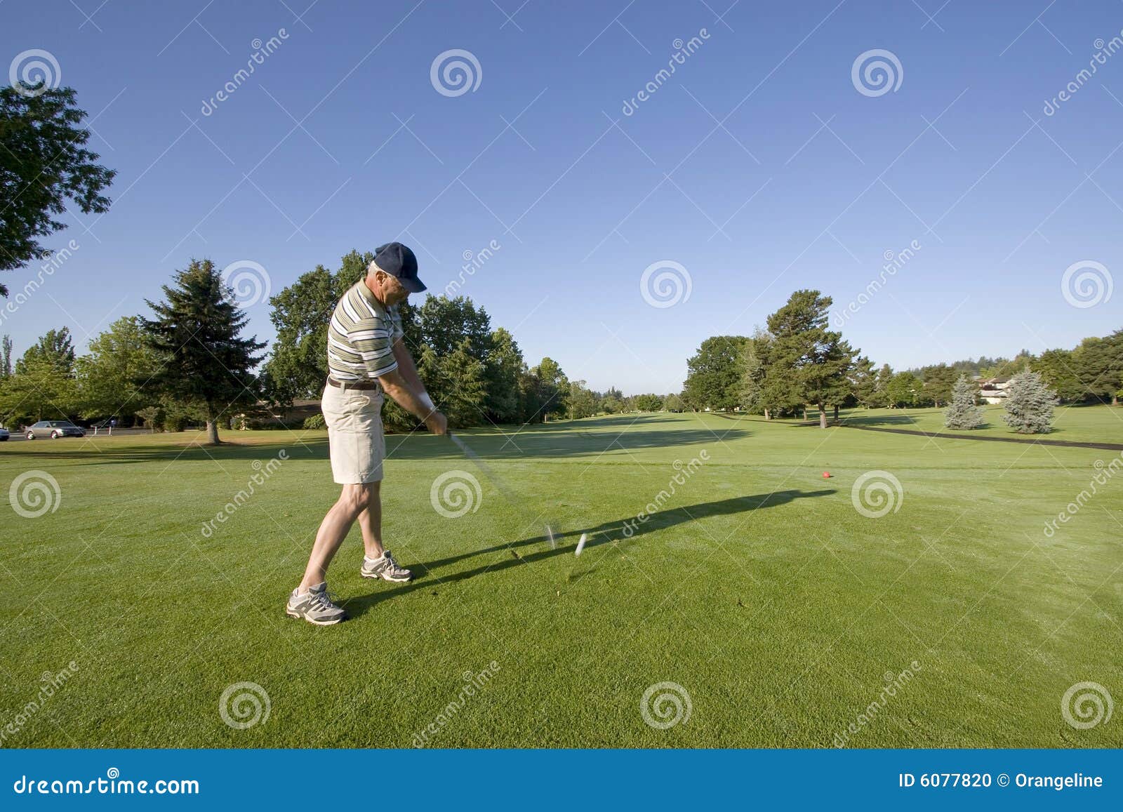 Man on Golf Course stock photo. Image of person, golden - 6077820
