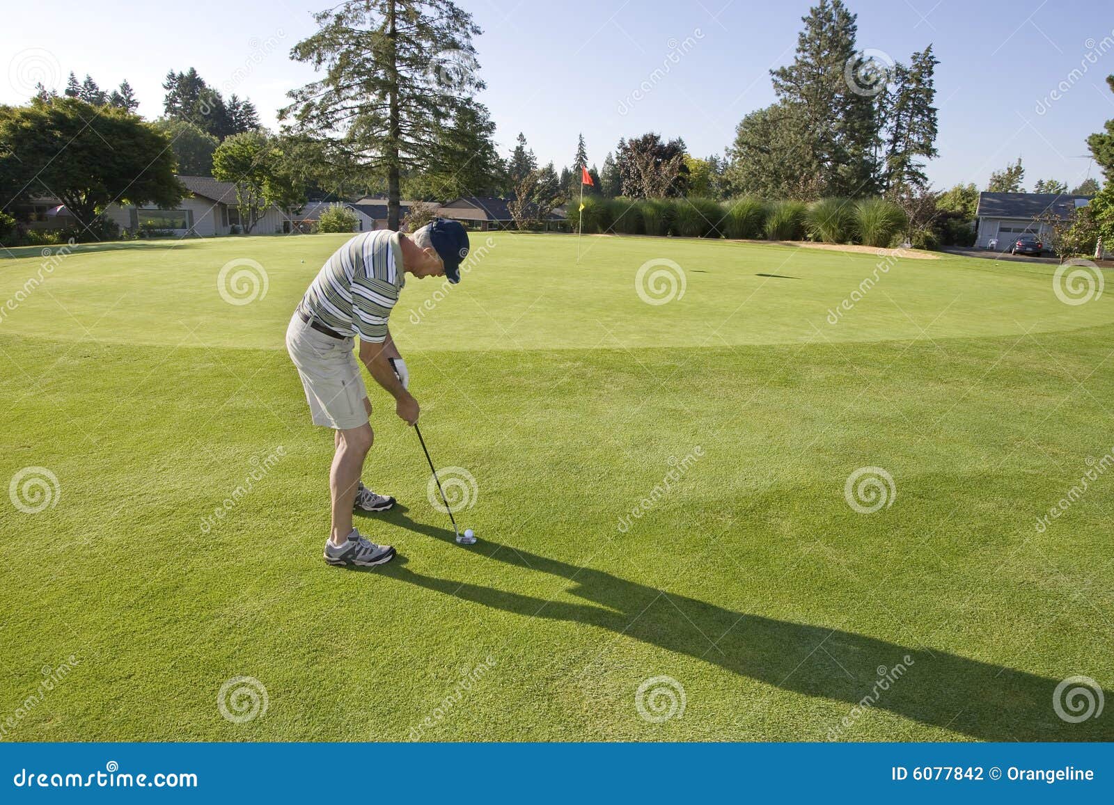 Man on Golf Course stock photo. Image of sport, green - 6077842