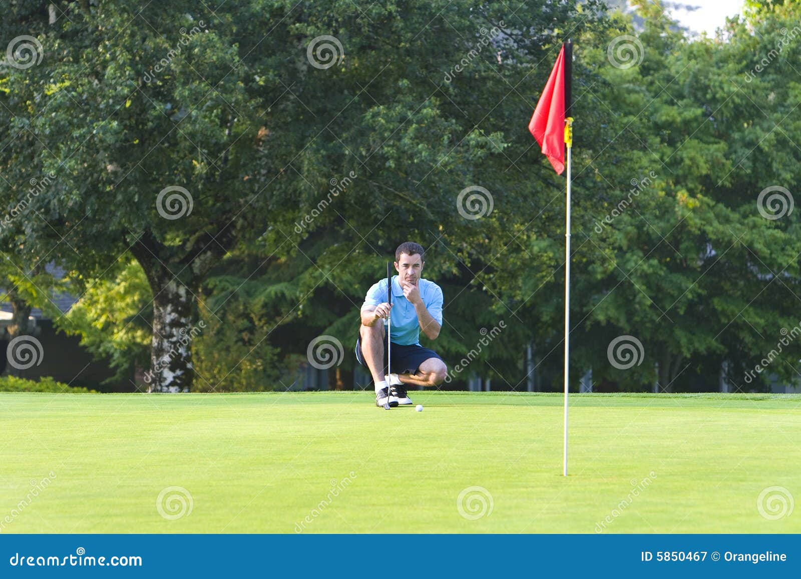 Man on Golf Course Playing Golf - Horizontal Stock Image - Image of ...